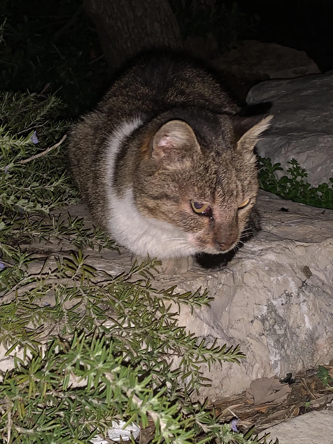 Saw this one on a trip | Scrolller