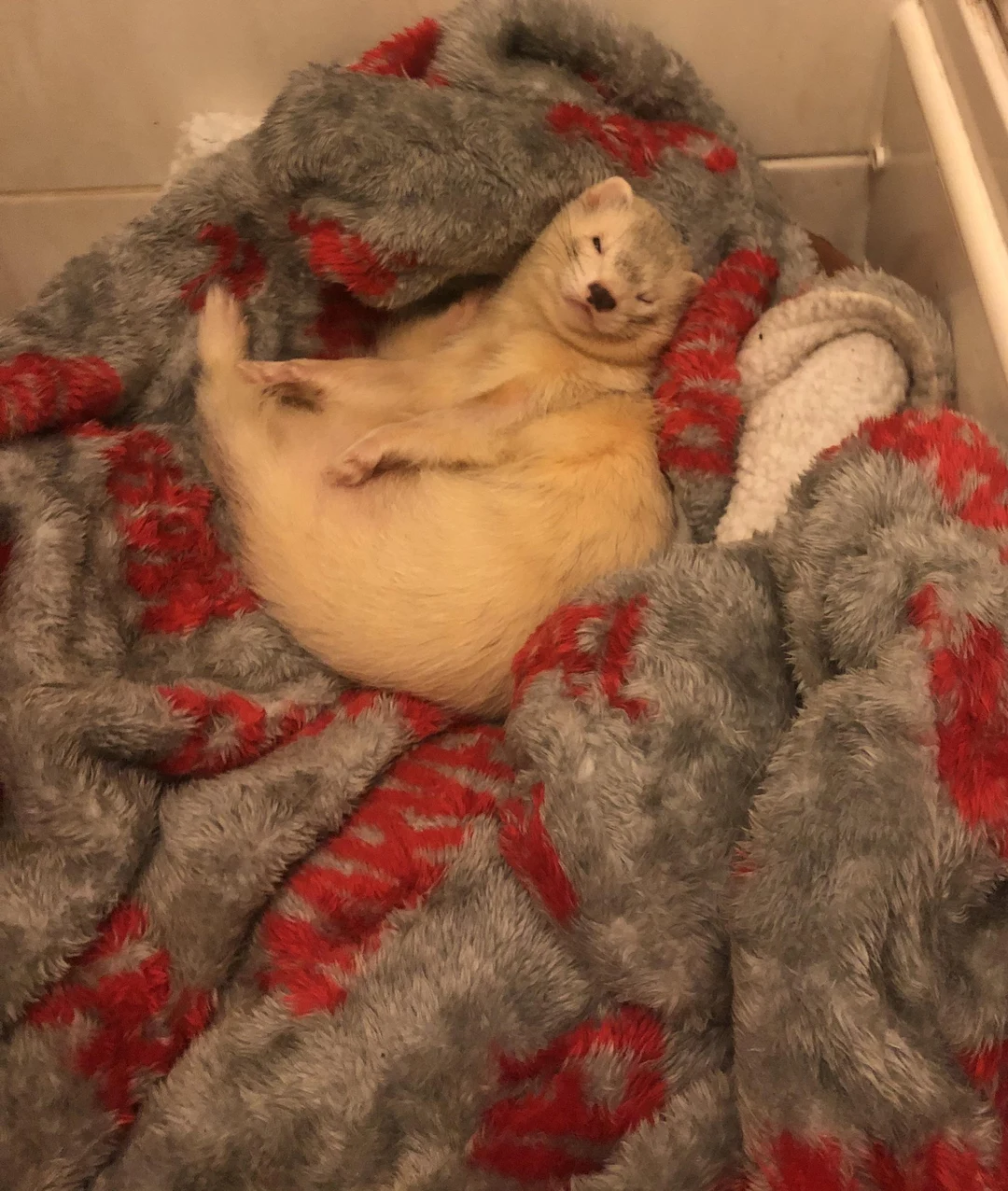 Sleepy Casper | Scrolller