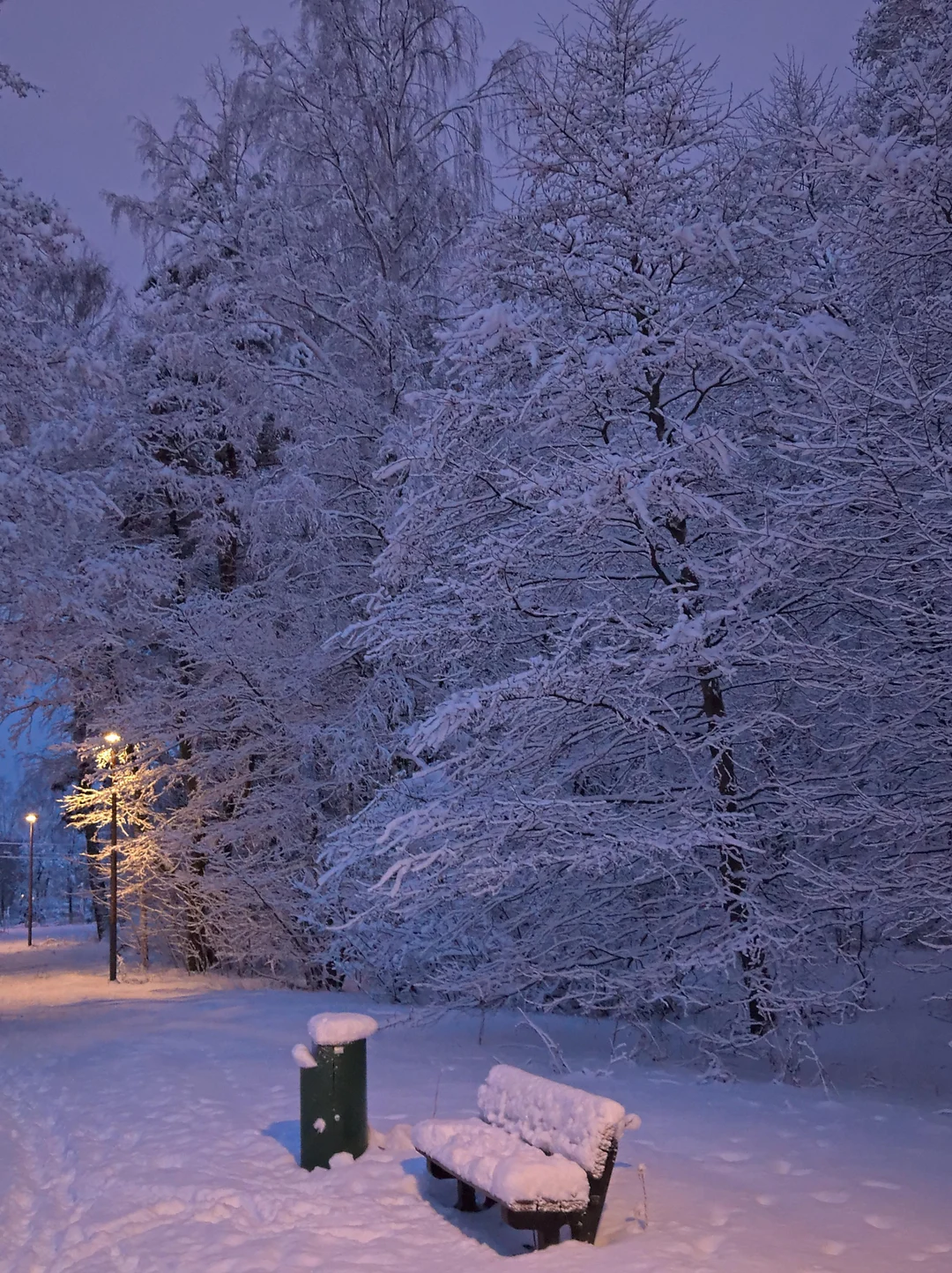 Winter forest in Espoo, Finland | Scrolller