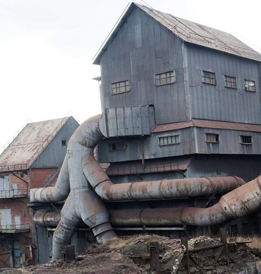 Evil has taken root | Scrolller