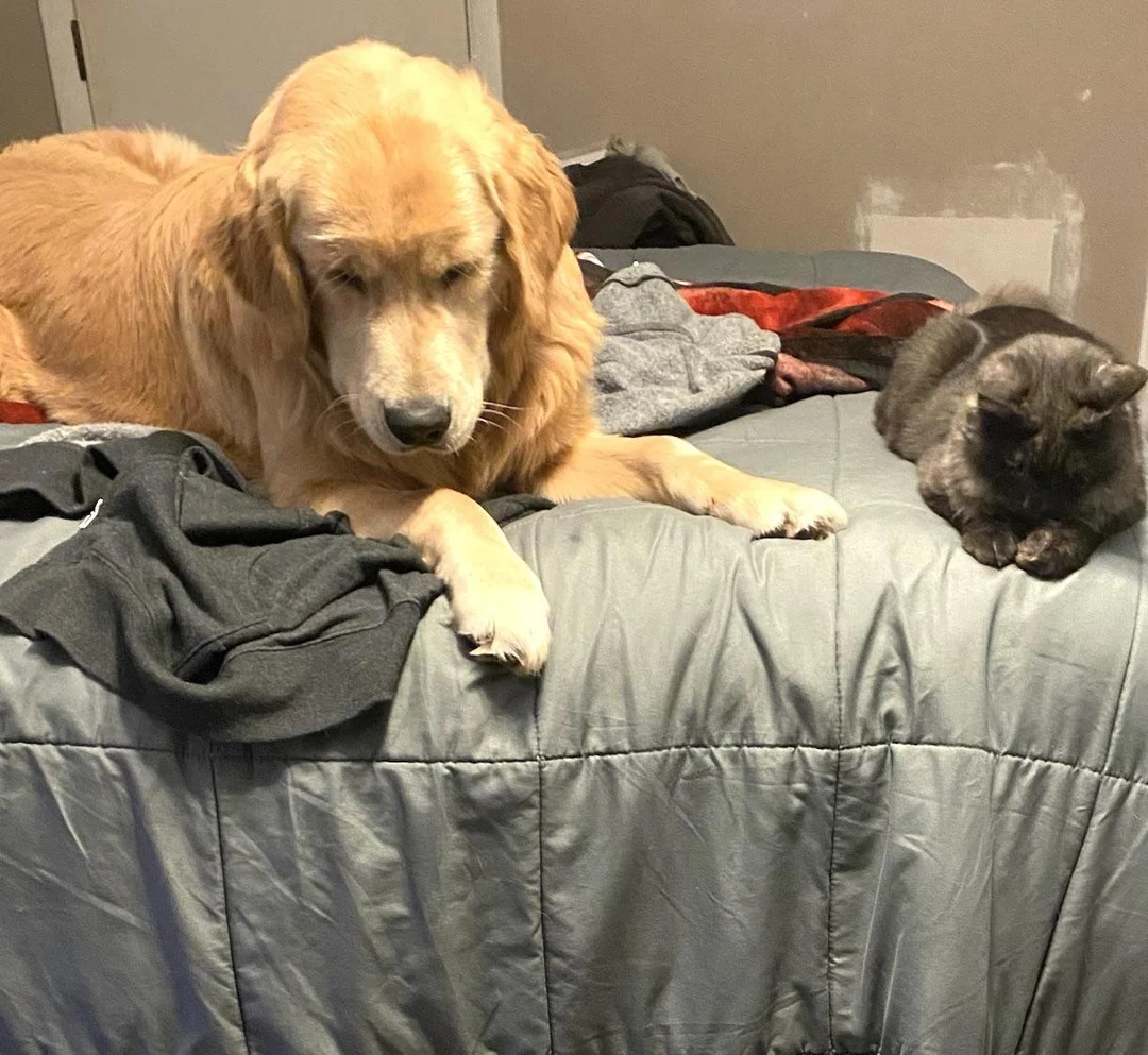 Watching the wife vacuum | Scrolller