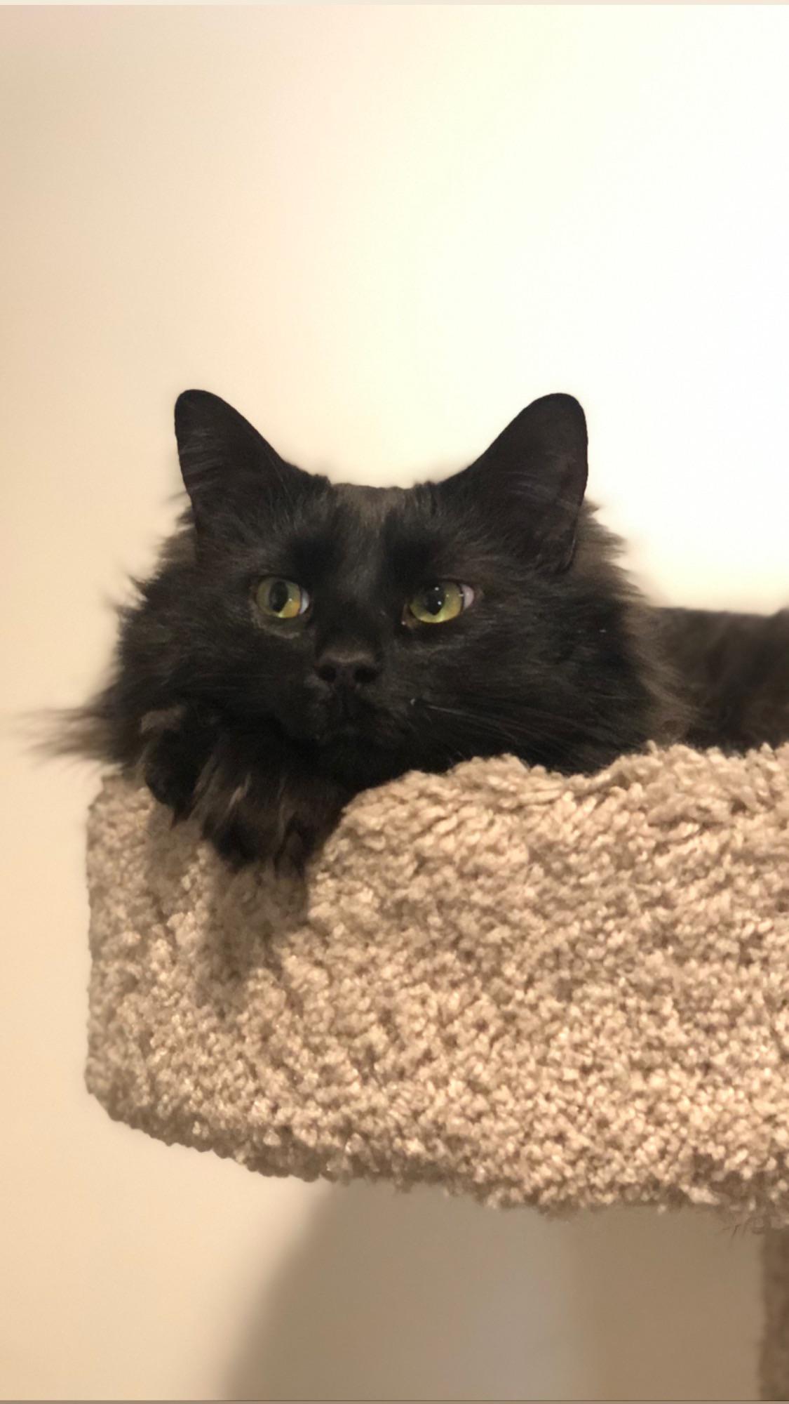 That gradient though 🖤🤍 | Scrolller