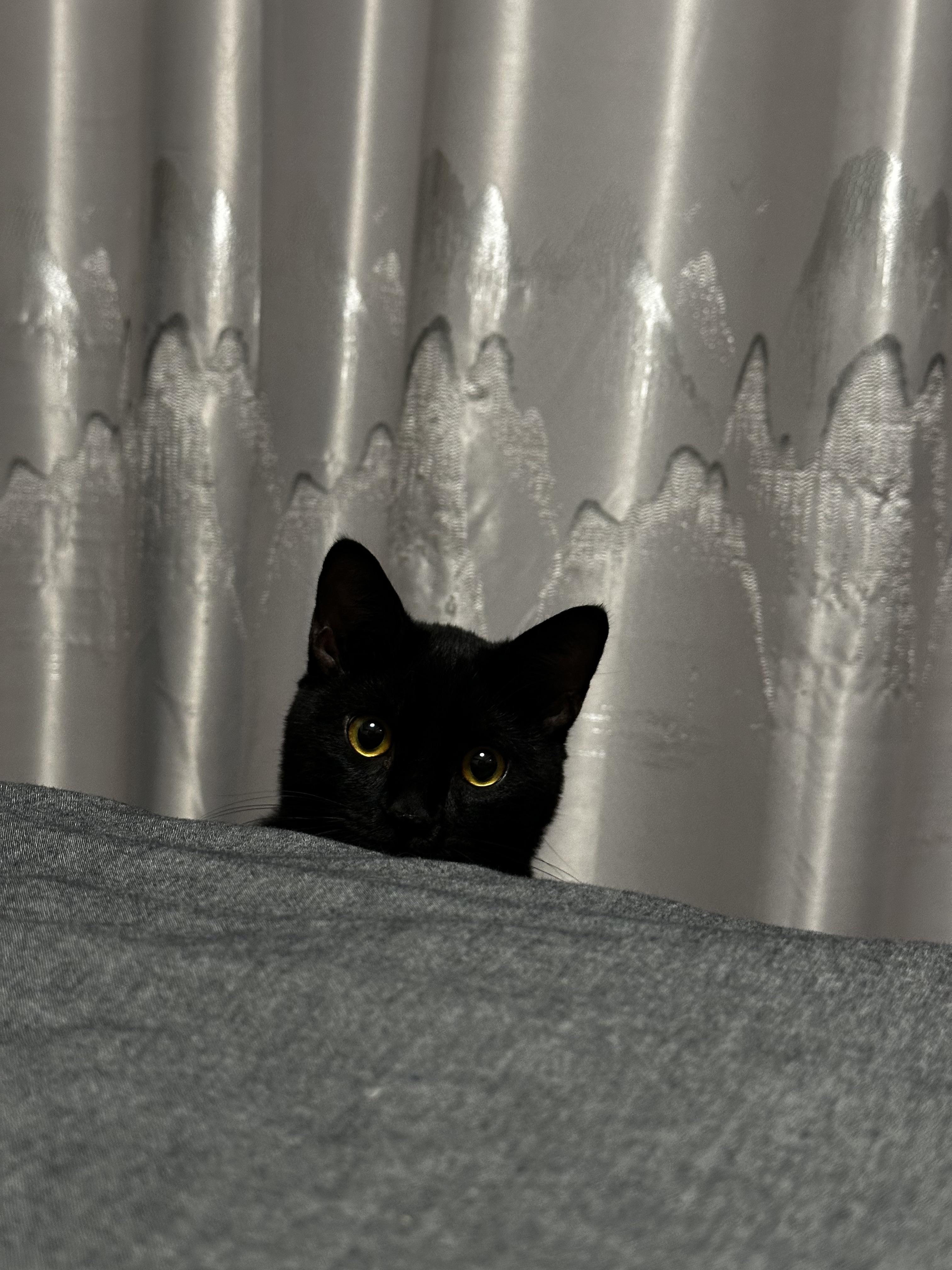 Henry, my handsome void. | Scrolller