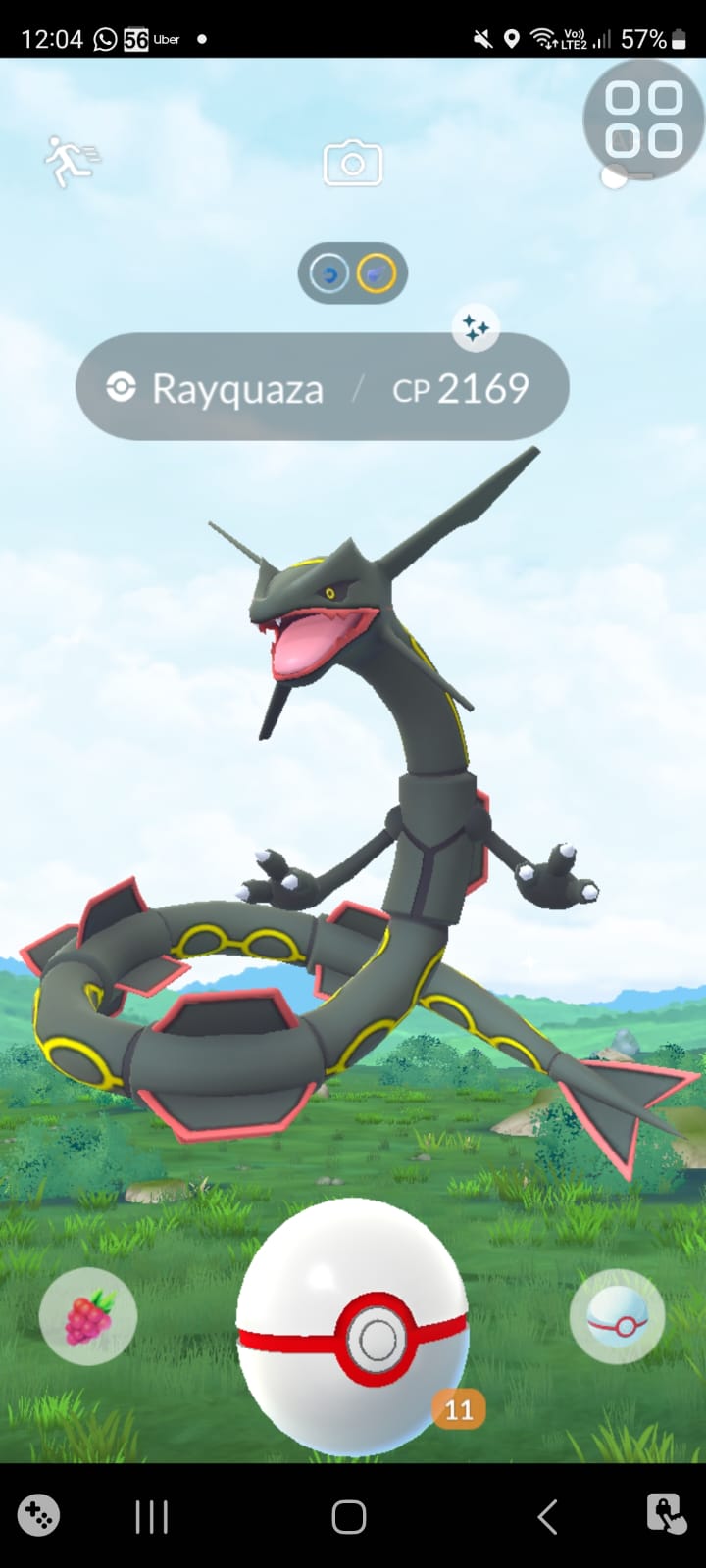 Rayquaza Shiny third attempt | Scrolller