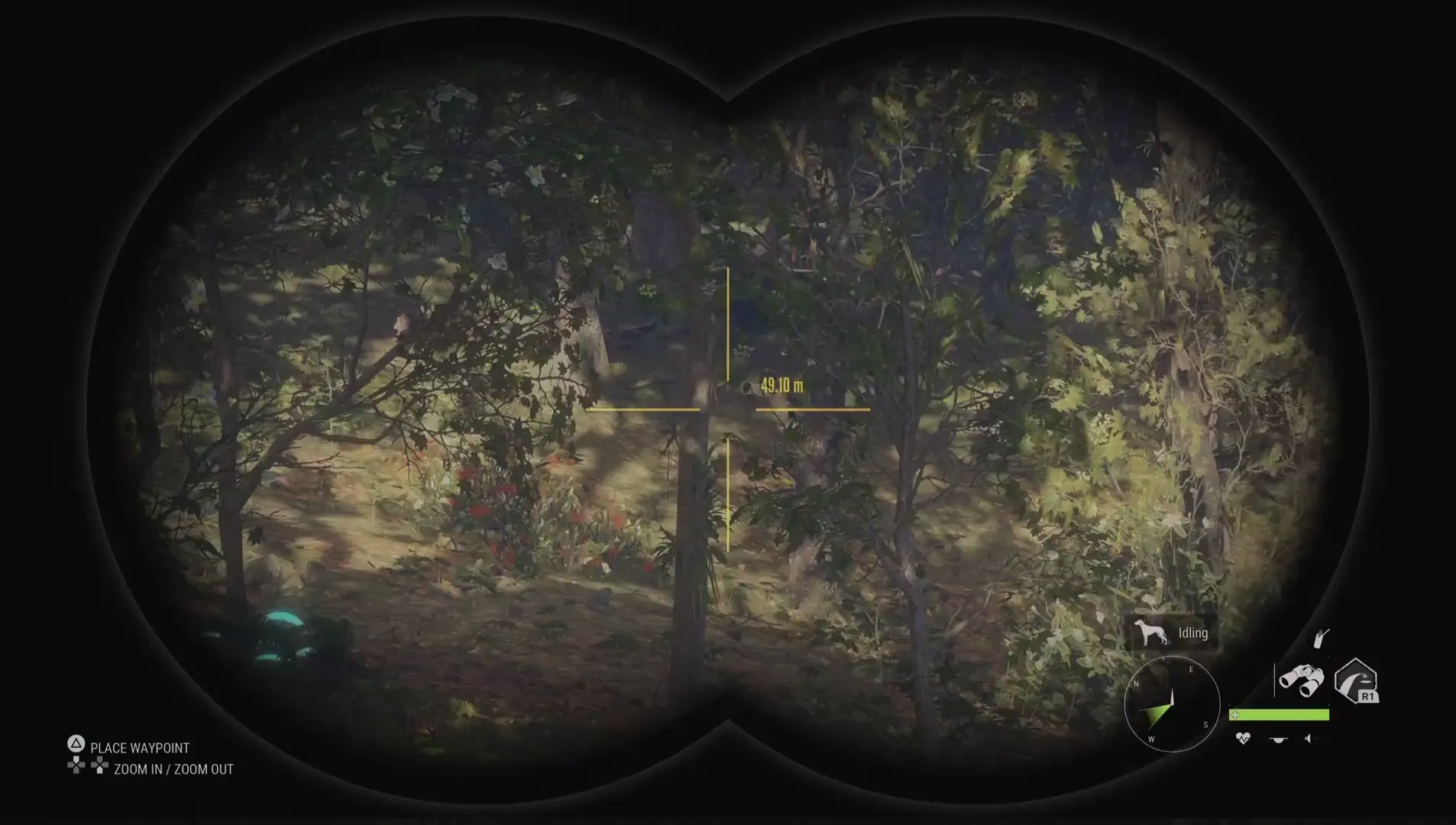 2nd Tiger Encounter | Scrolller