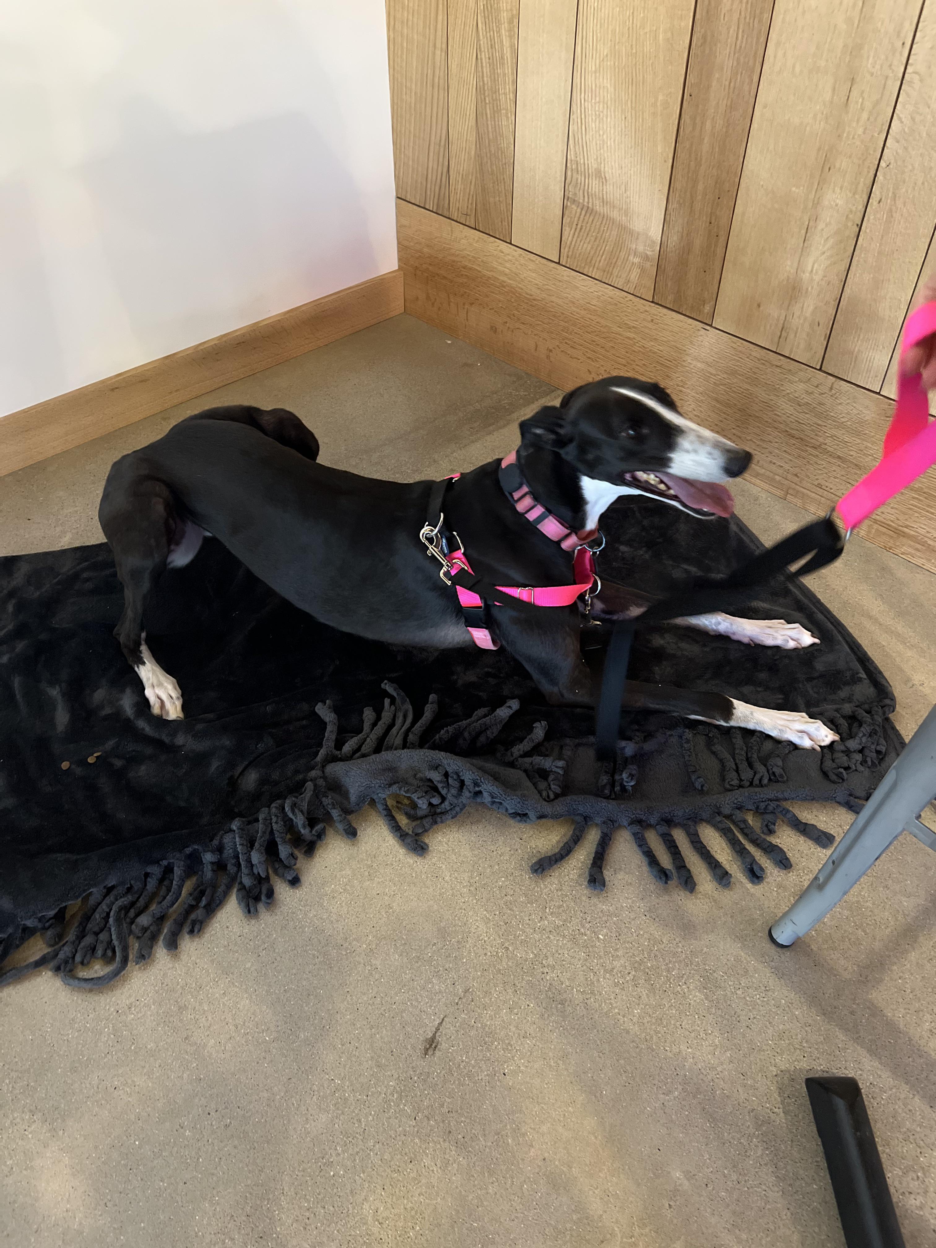 Jills first brewery! | Scrolller