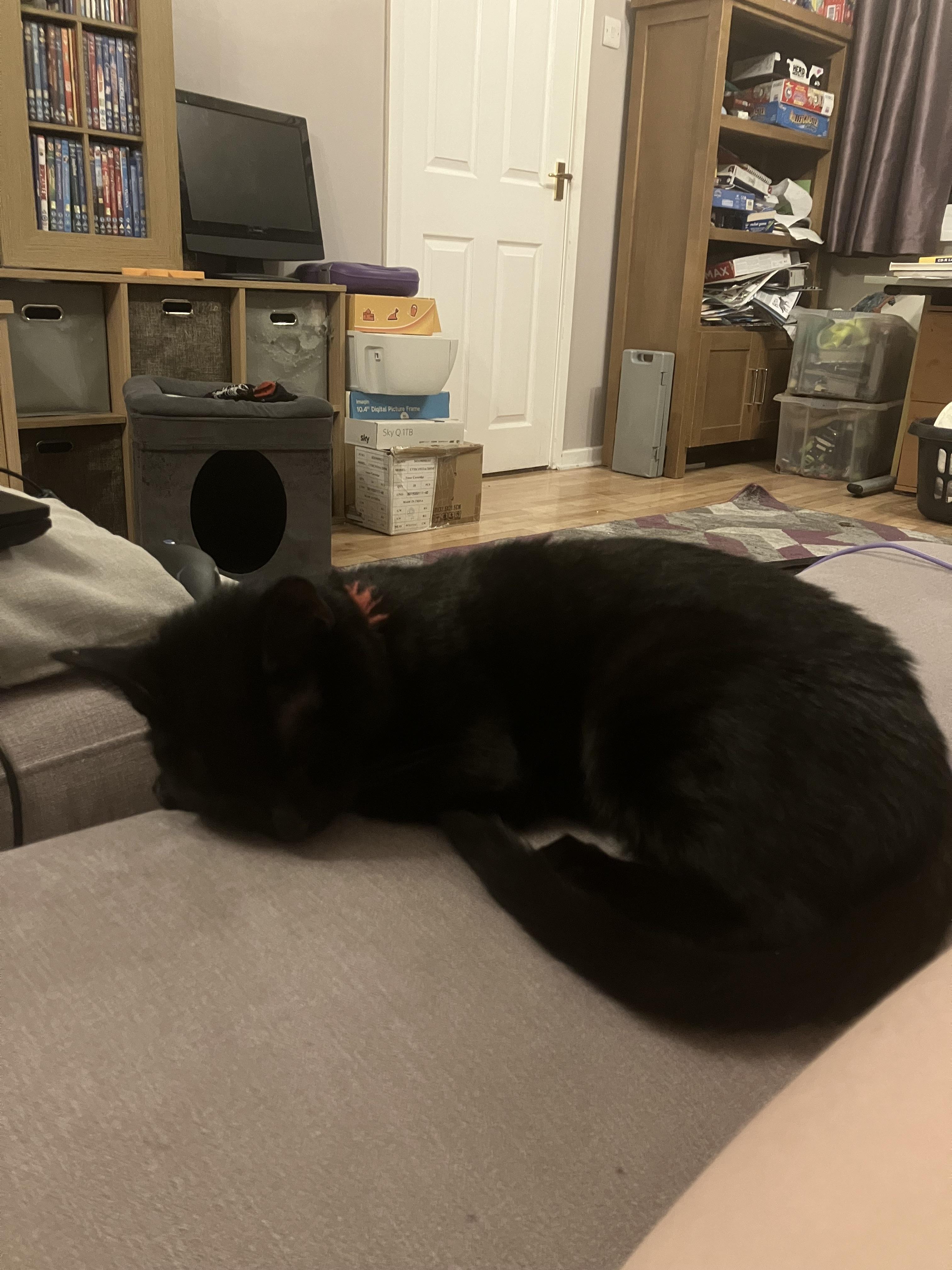 Tiny Void! | Scrolller