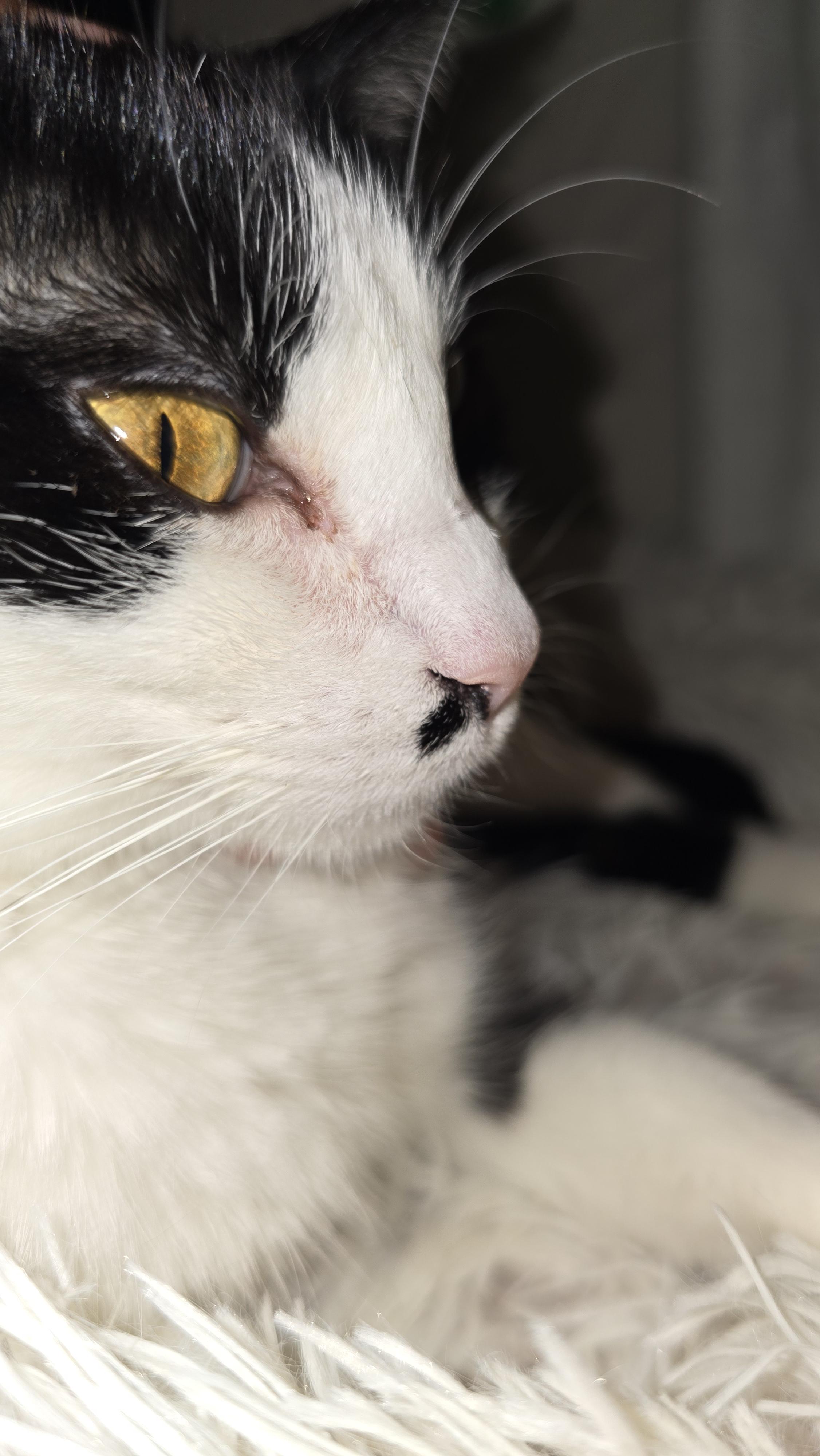 Is this normal? | Scrolller