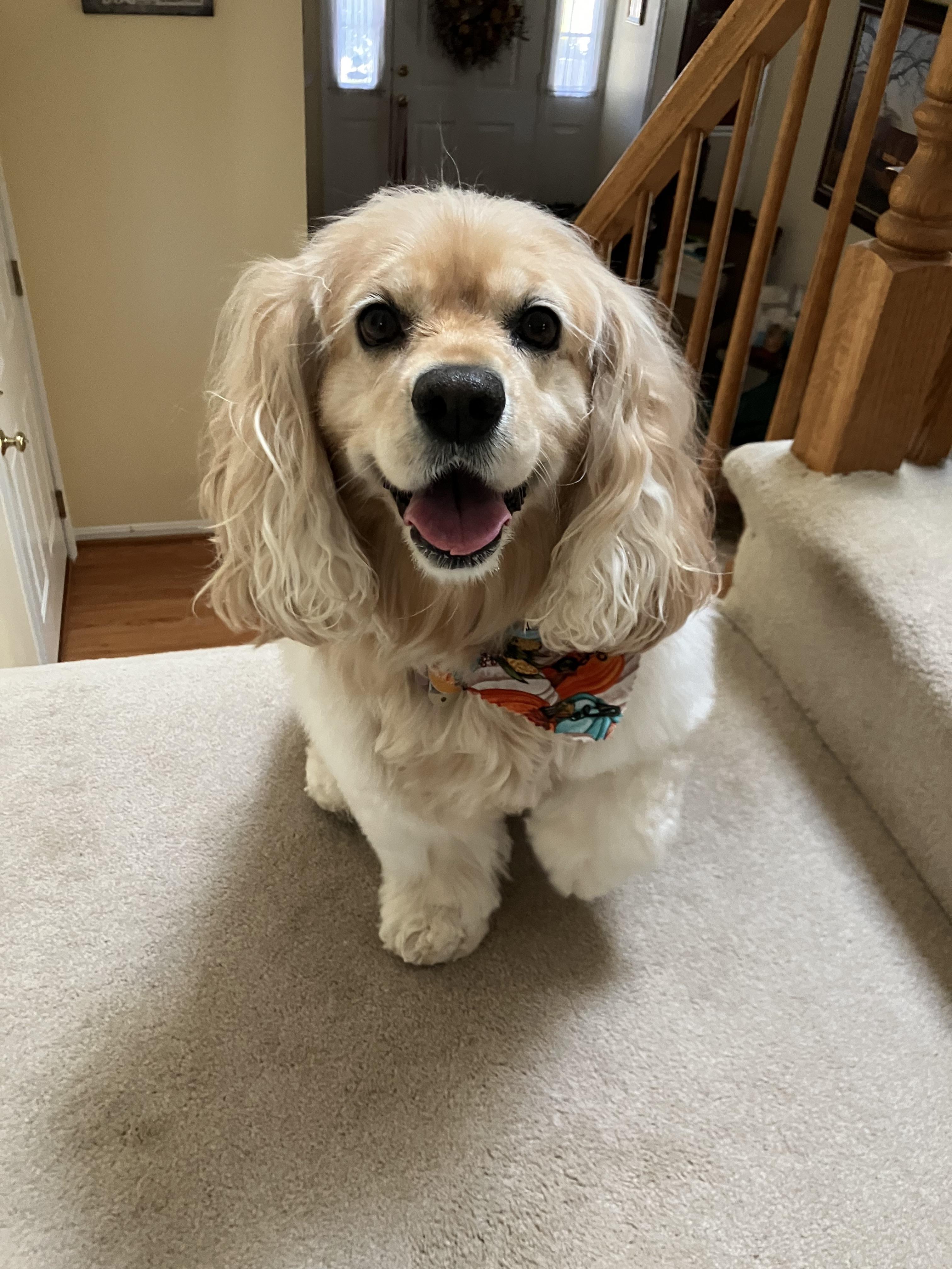 Meet Mari | Scrolller