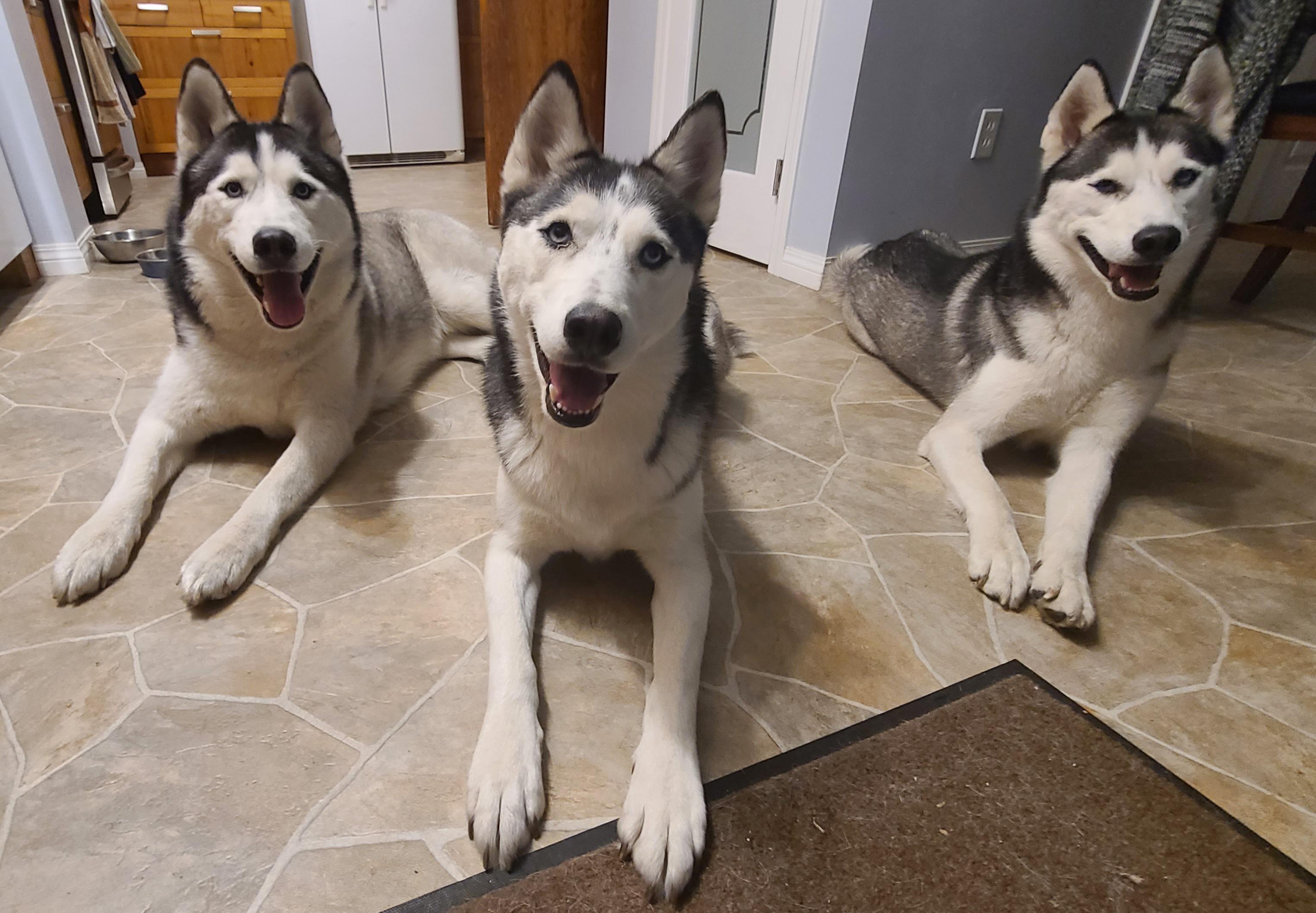 We Three! | Scrolller