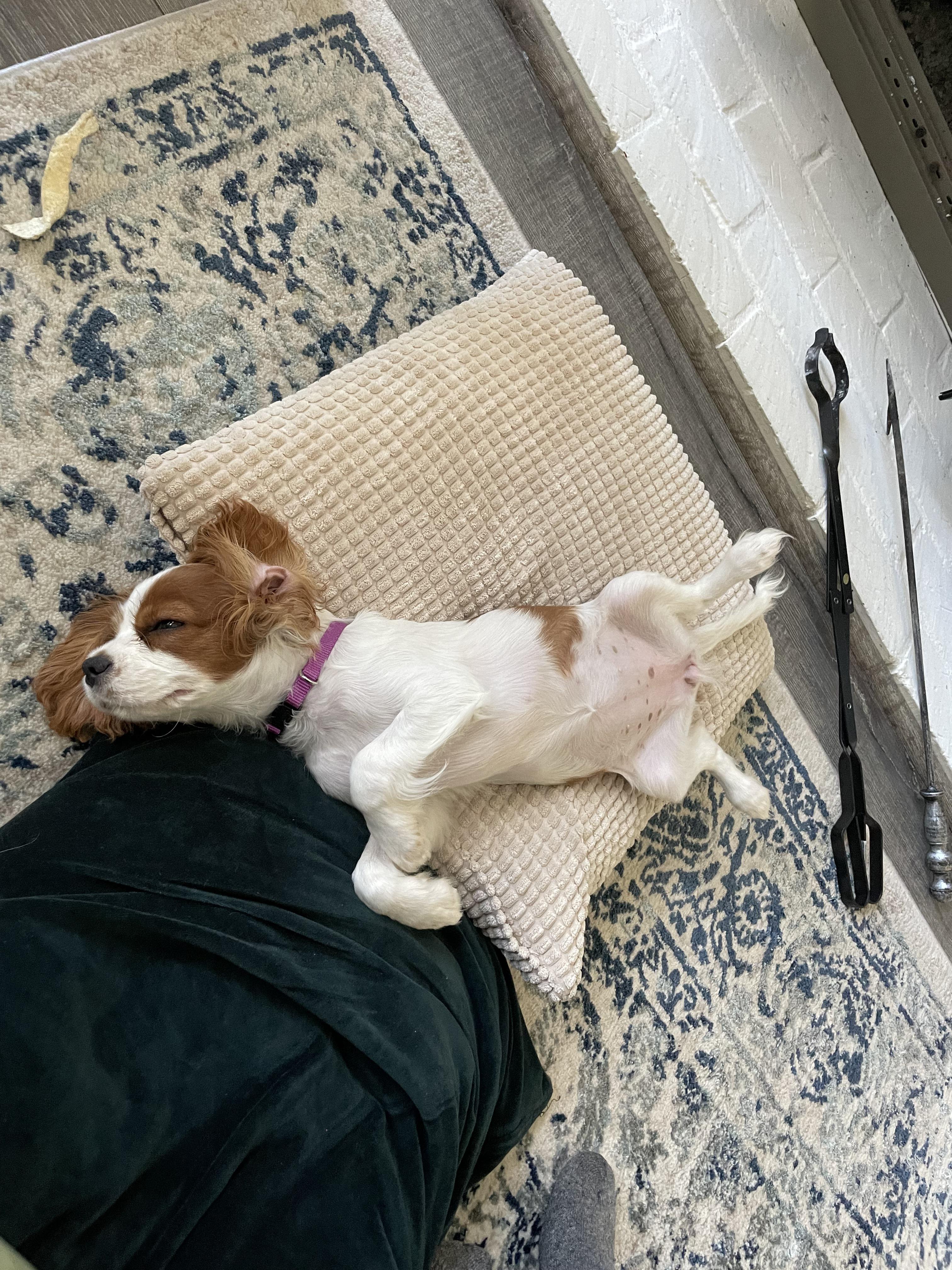 Discover more like Aww: Cozy November (OC) and Related Content | Scrolller