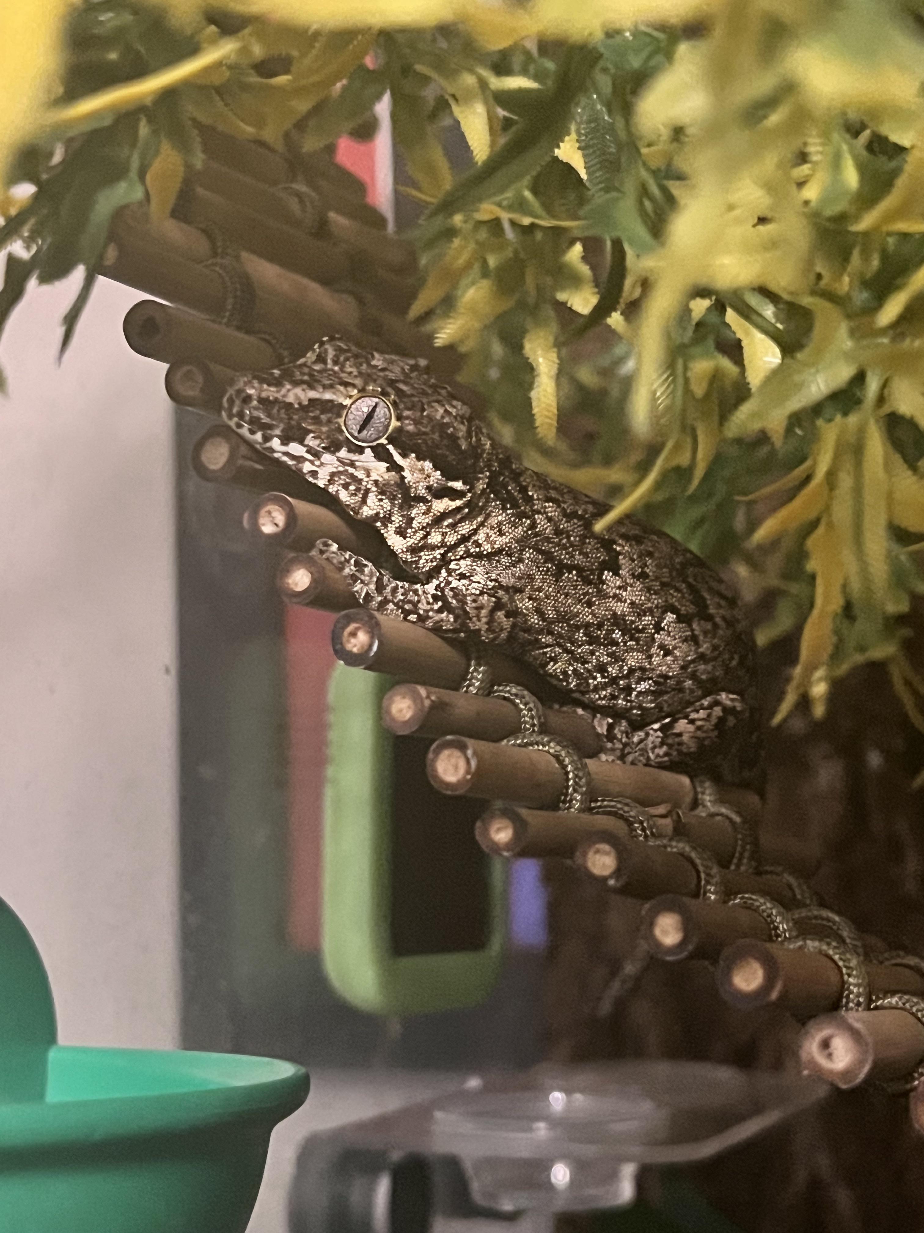 Just some gargoyle pics | Scrolller