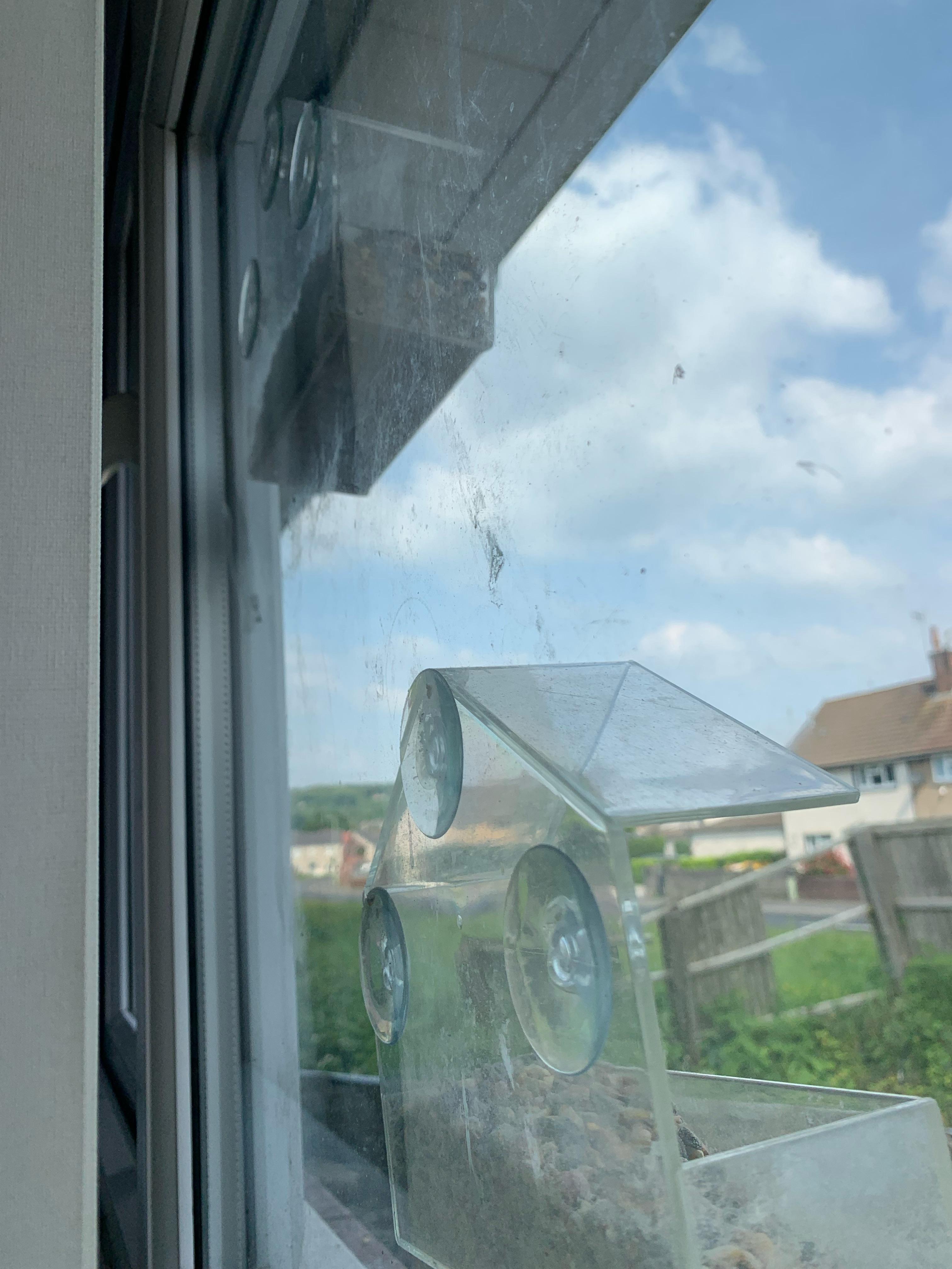 Happy accident | Scrolller