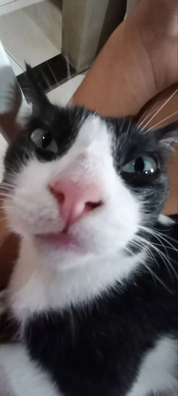 Hello World! | Scrolller