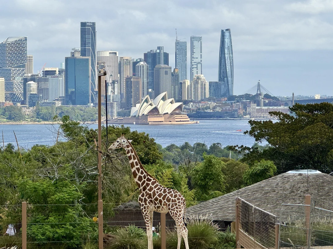 Sydney, New South Wales, Australia | Scrolller