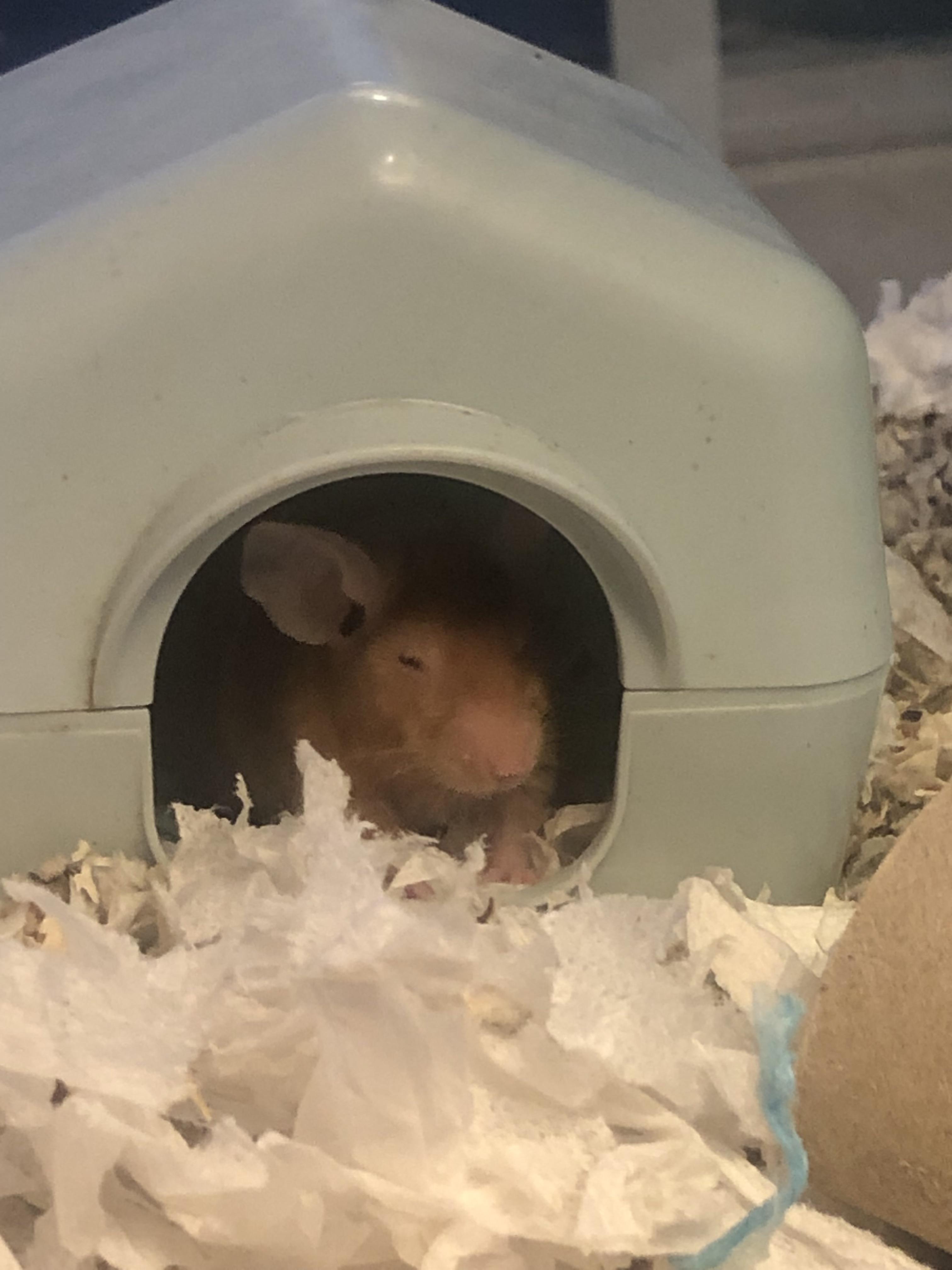 He looks like a grumpy old man who wants those damn kids to get of his lawn | Scrolller