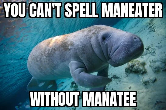 Watch out bots | Scrolller