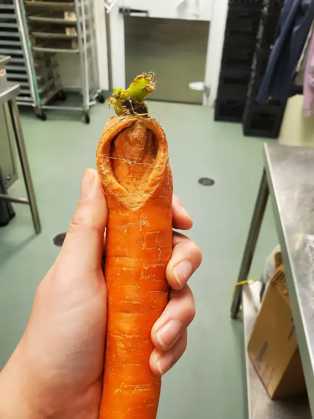 eat your veggies, but... | Scrolller