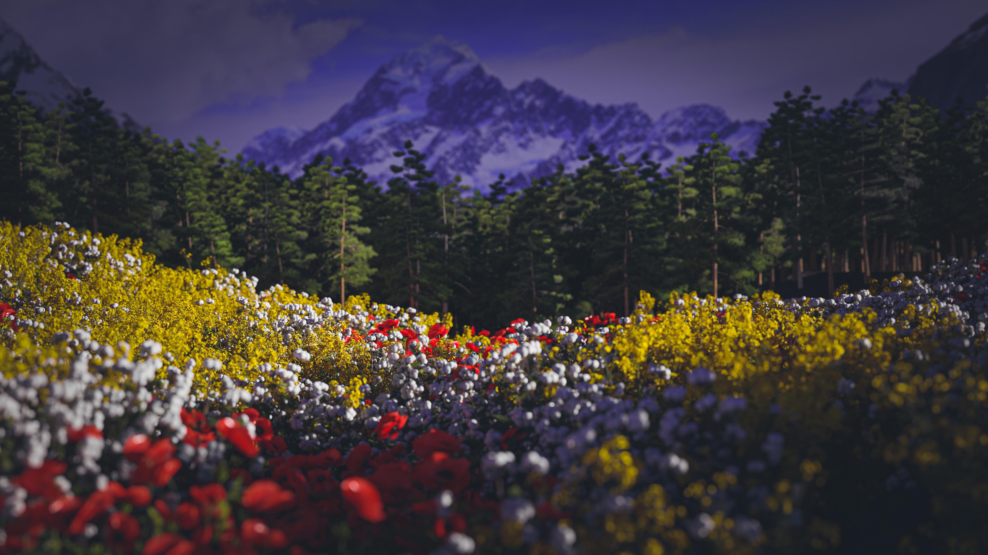 Wildflowers [3840x2160] | Scrolller