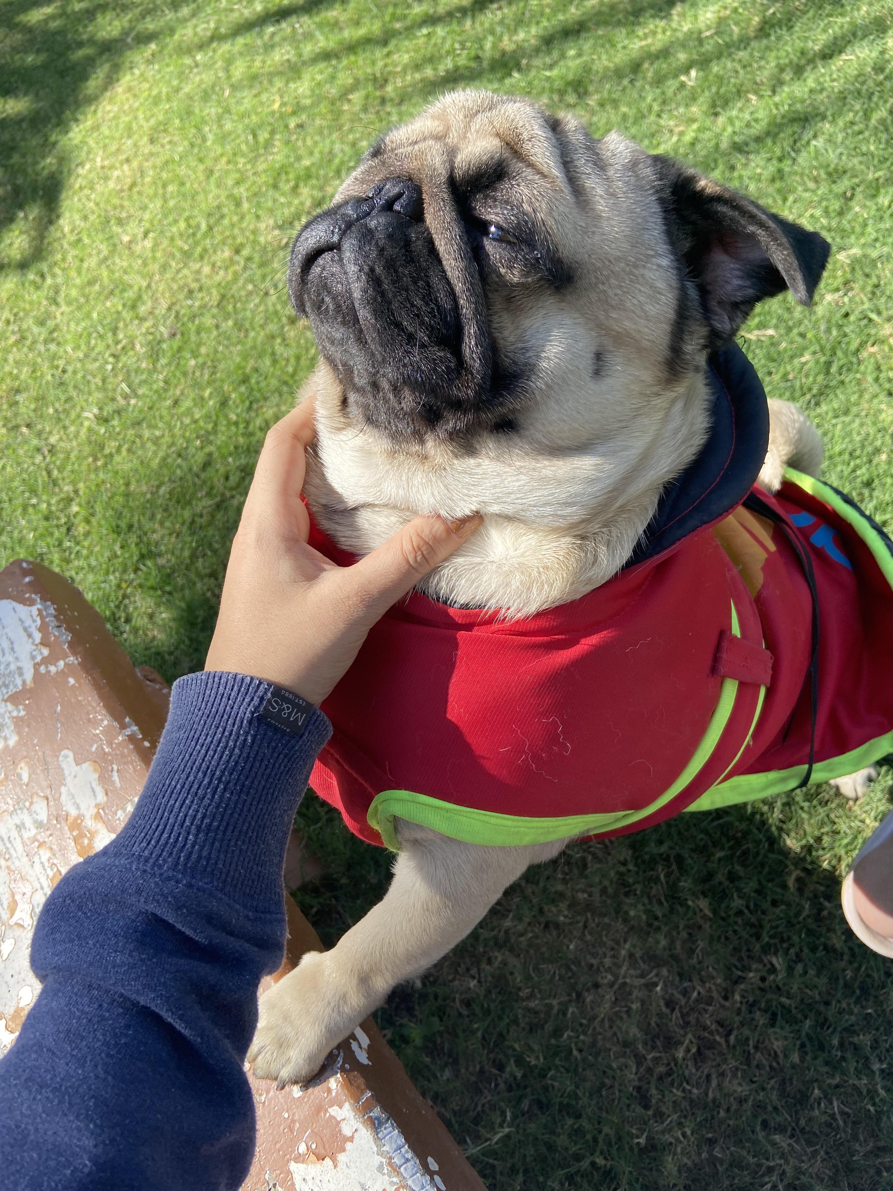 Getting that vitamin D! | Scrolller