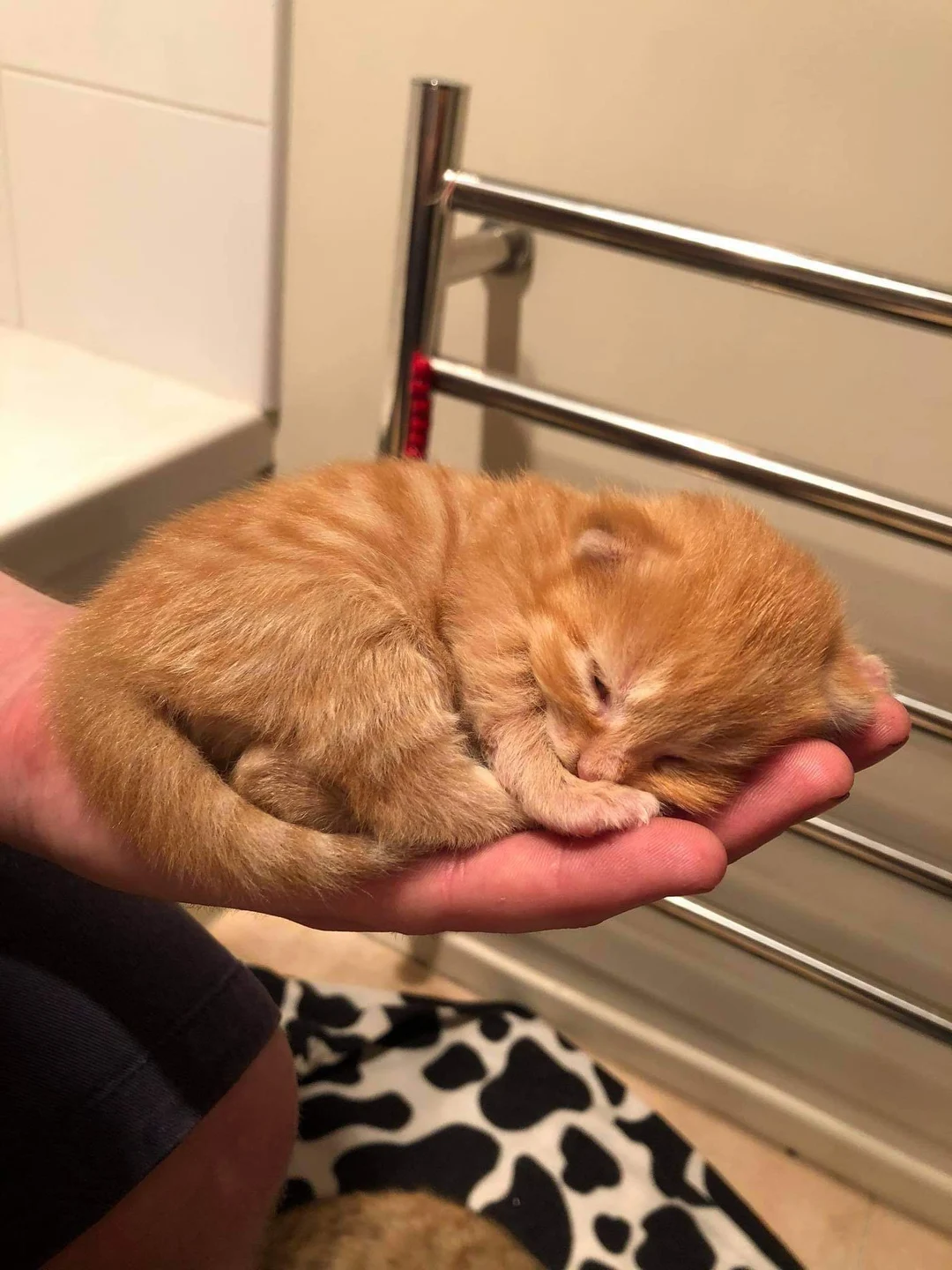 Sleeping | Scrolller