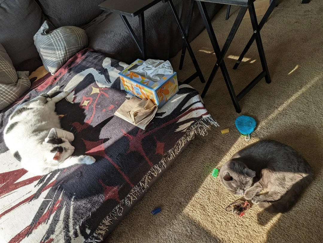 Double sun trap | Scrolller