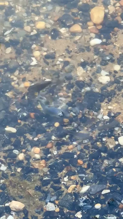 New fish, what dis? | Scrolller