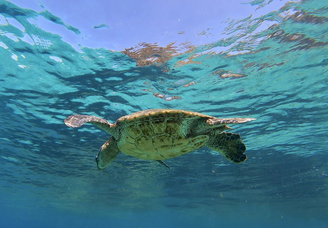 Floating into the weekend | Scrolller