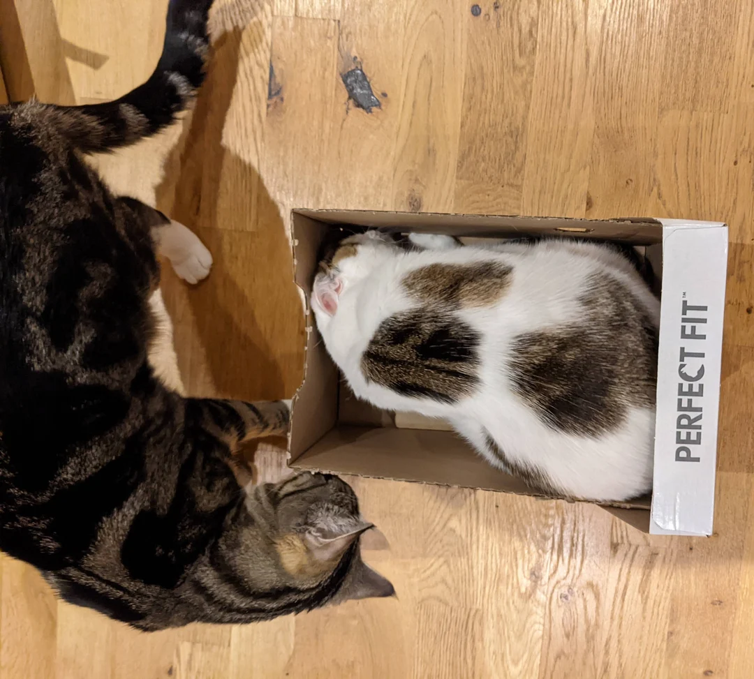 A fitting name for a cat trap | Scrolller