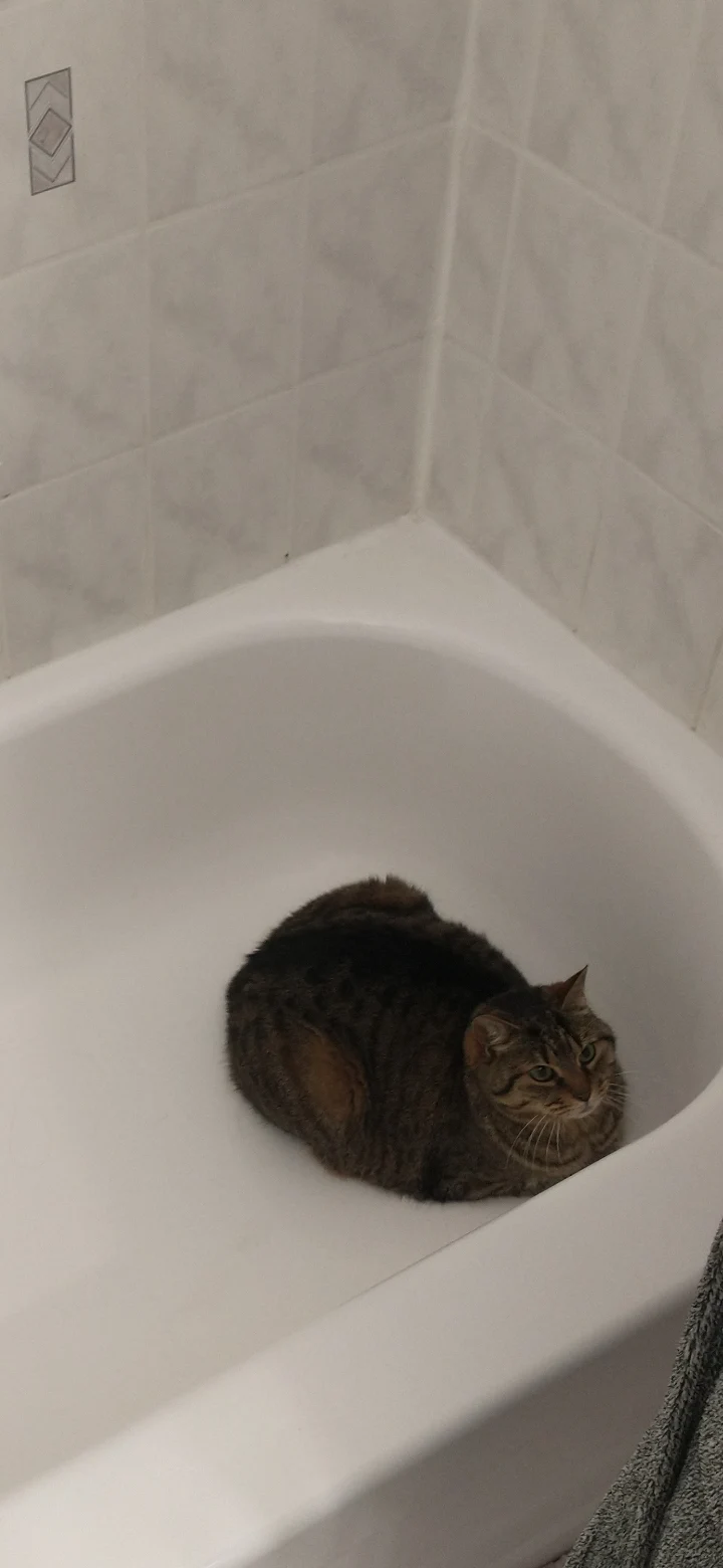 bathtub loaf | Scrolller