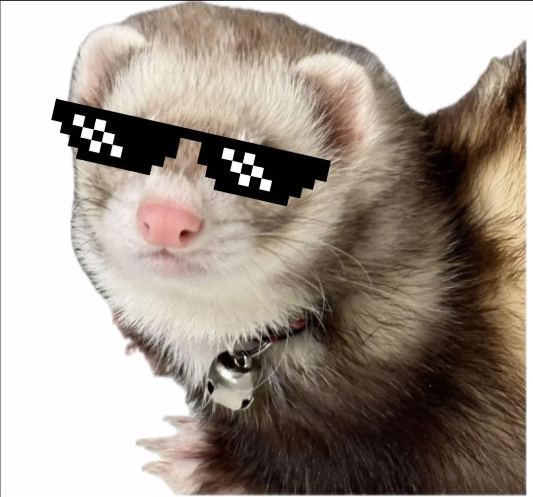 Ginormous Poops | Scrolller