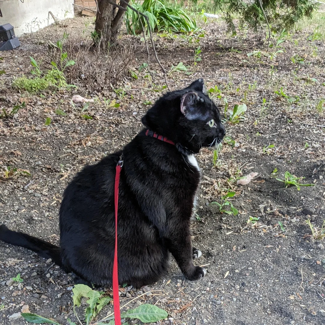 All that the sun touches is hers | Scrolller