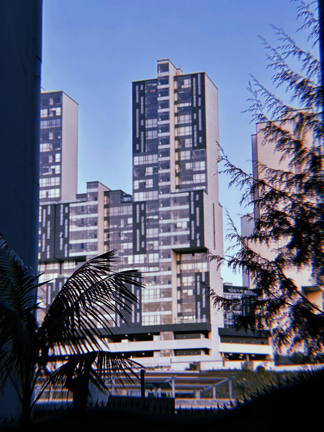 Interlomas , CDMX | Scrolller