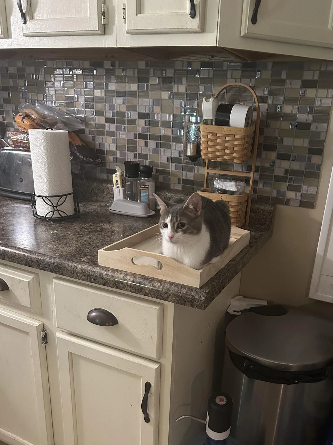 Freshly baked 🍞🍞 | Scrolller