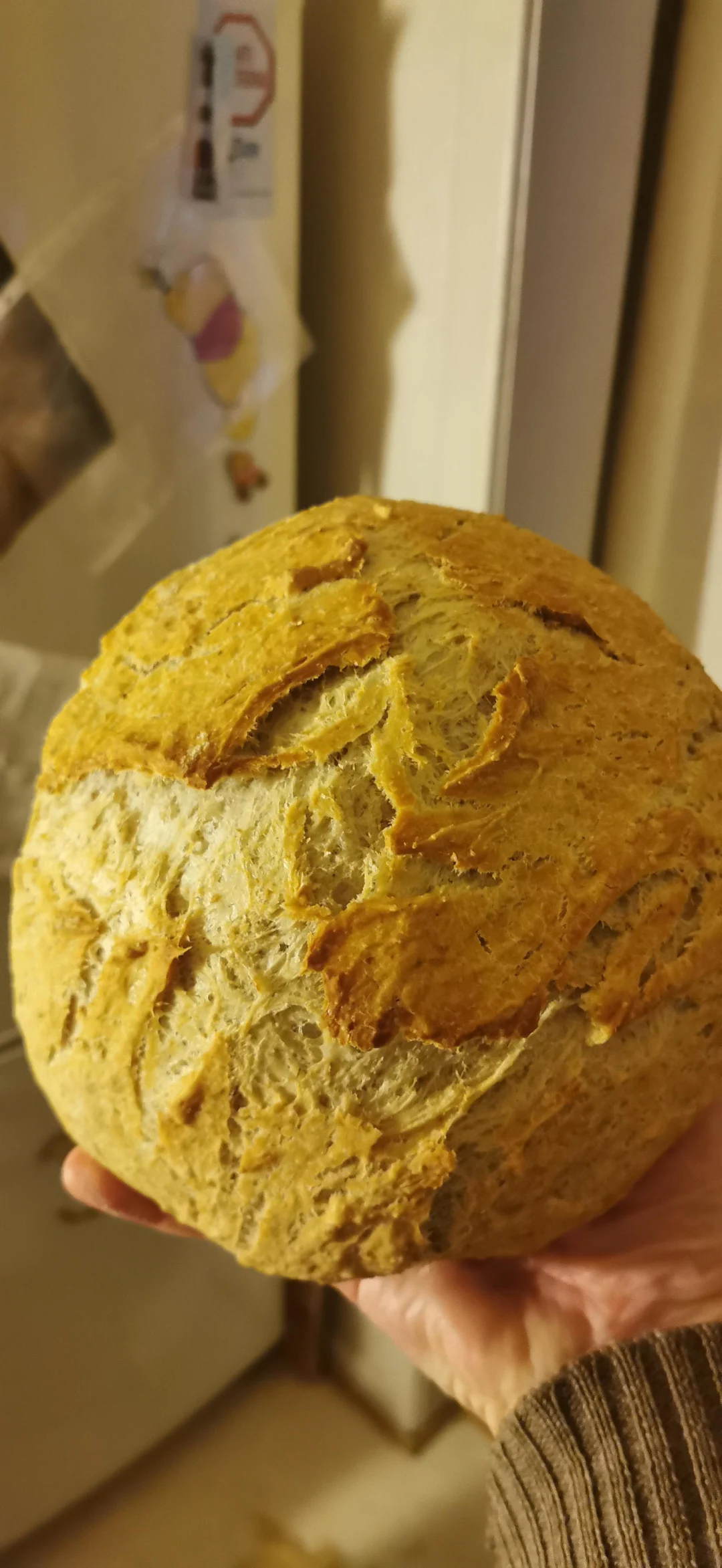 Meet Dough, still 200°C | Scrolller