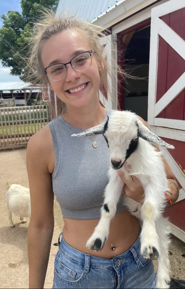 perfect midriff | Scrolller