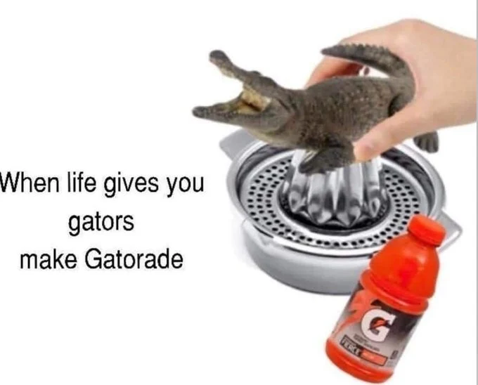 Gator-squeezed energy | Scrolller