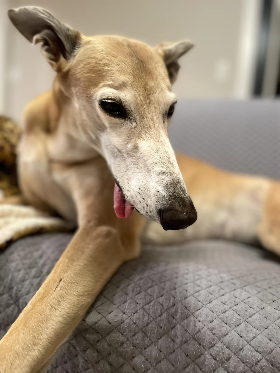 TOT submission from Uma | Scrolller