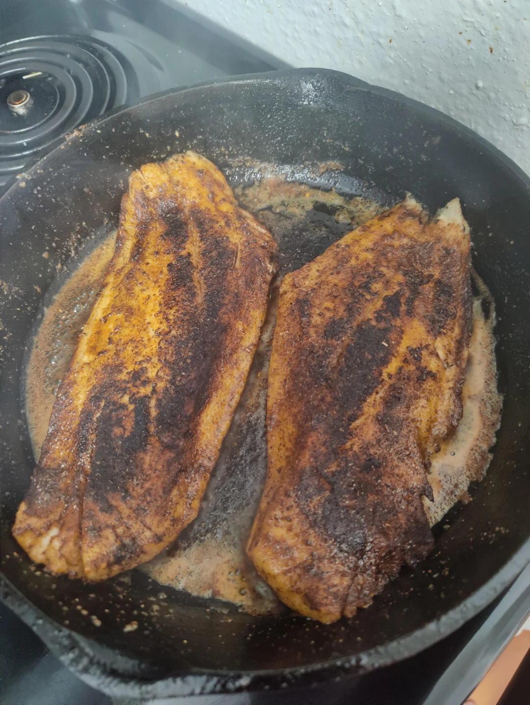 Blackened Redfish | Scrolller