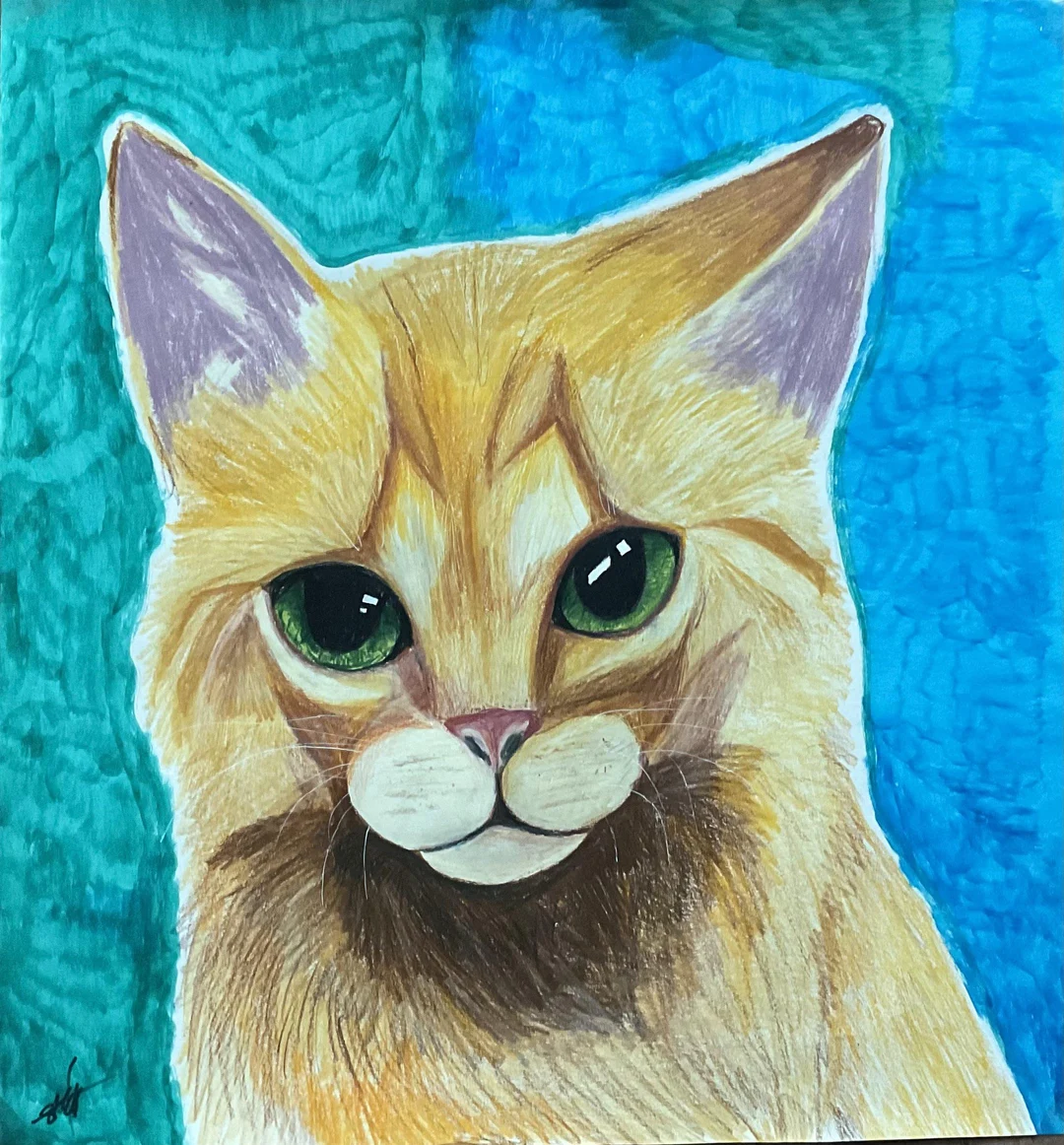 My cat: pop, Pebblee(me), colored pencil, 2023 | Scrolller