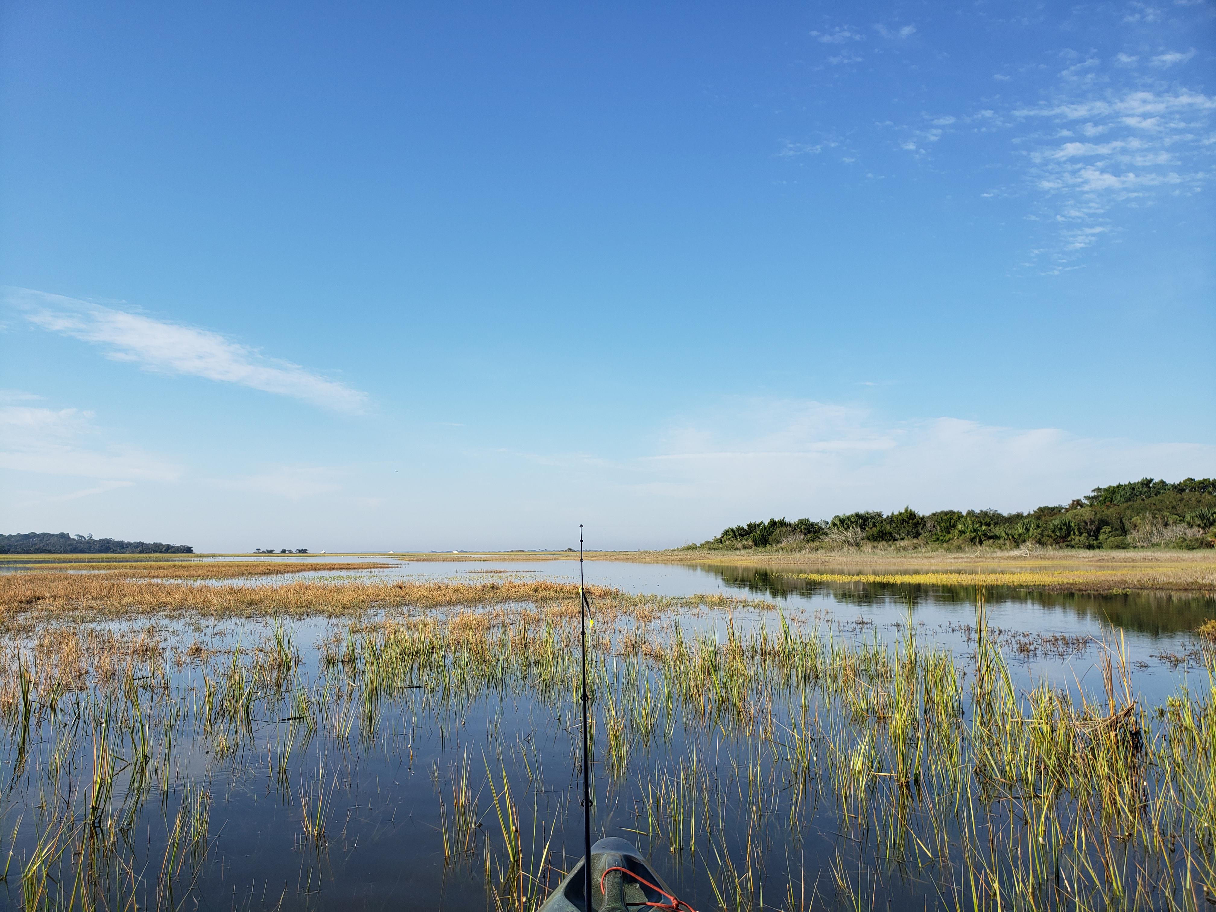 Chasing Tail | Scrolller