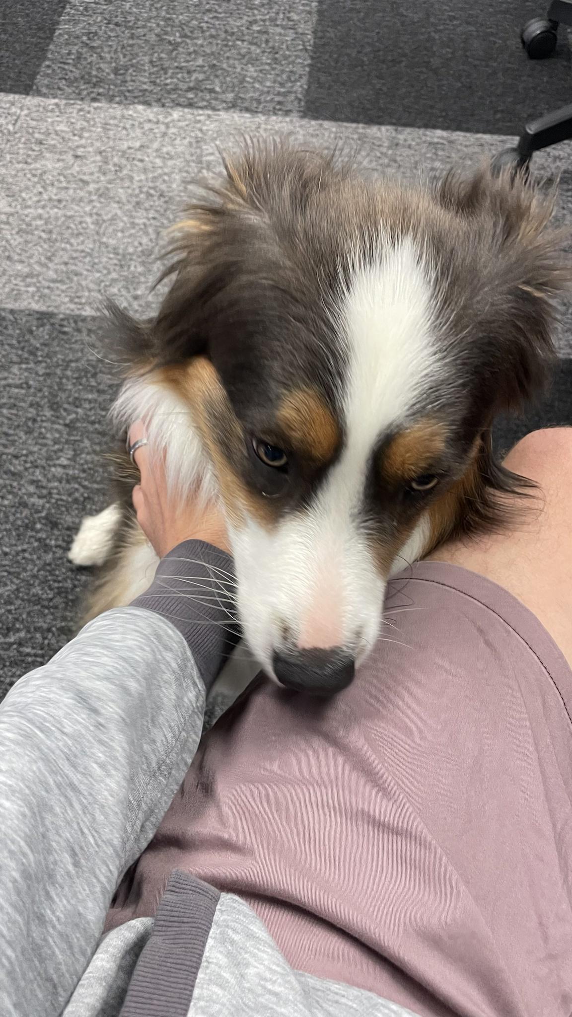 Special office visitor! | Scrolller