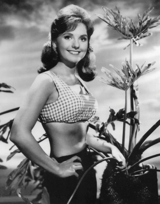 Dawn Wells- 1960s | Scrolller
