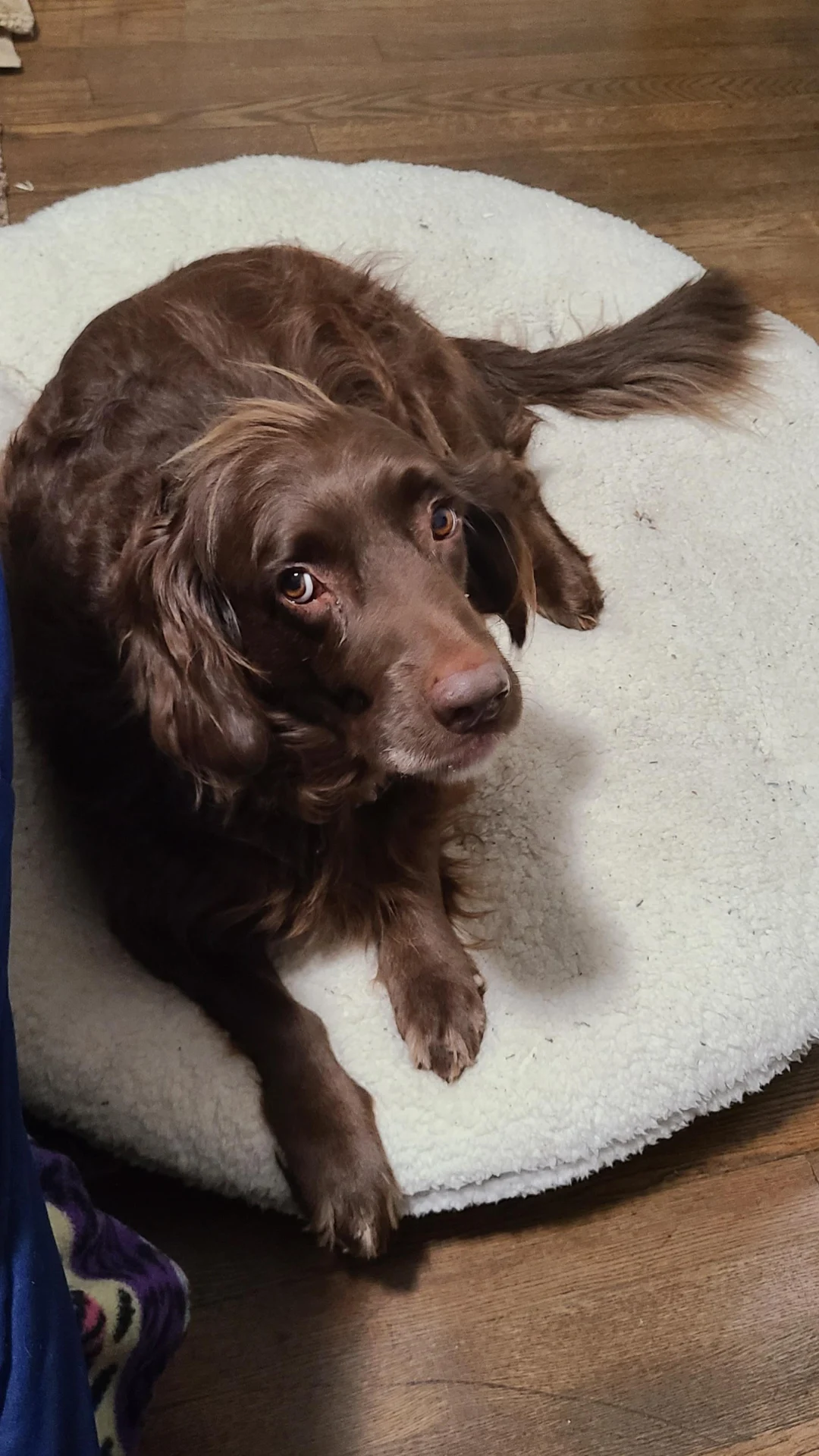 It's another Moose photo | Scrolller