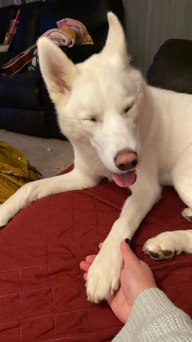 We're holding hands, it's official! | Scrolller