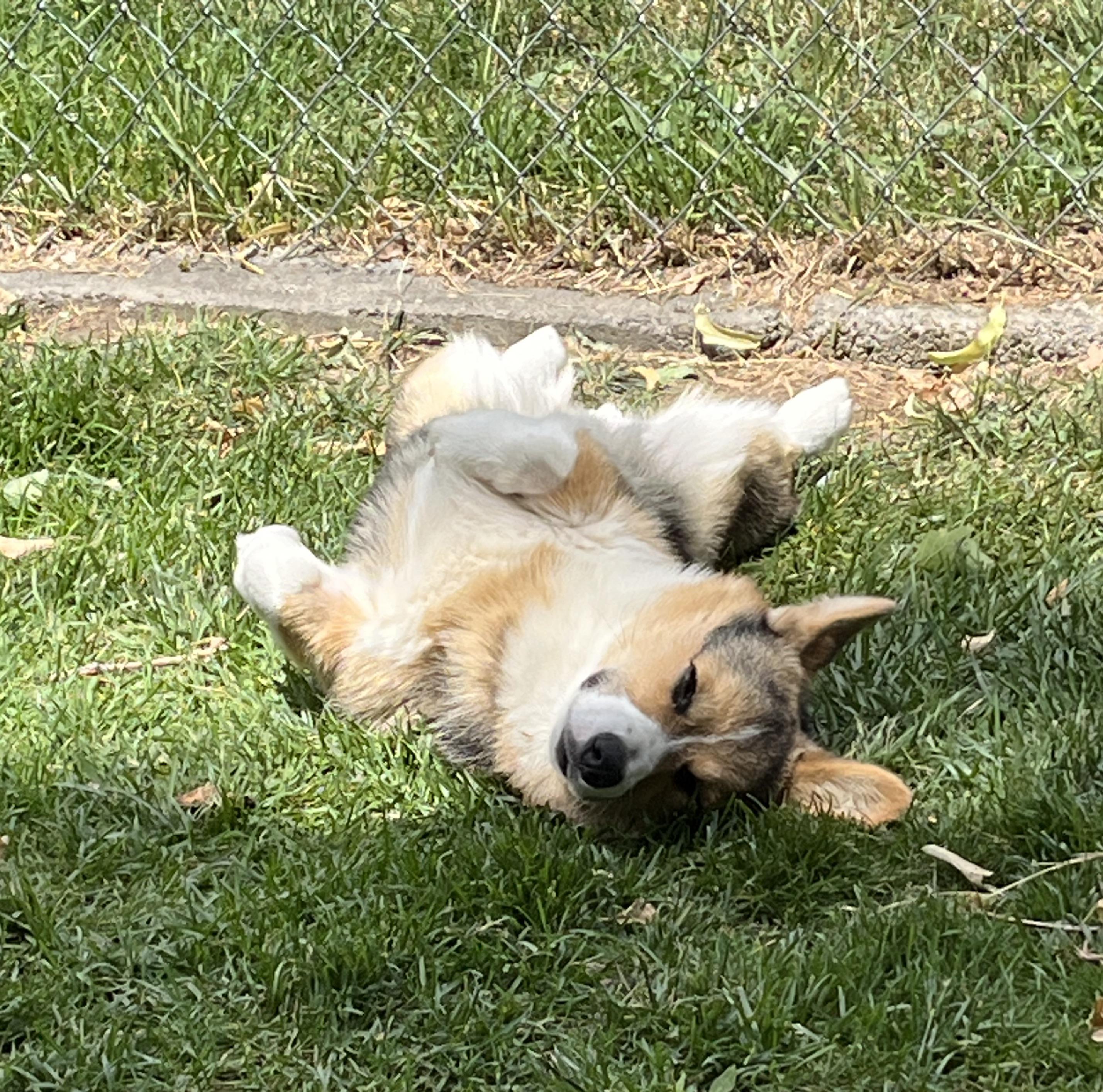 Bath time game changer! | Scrolller