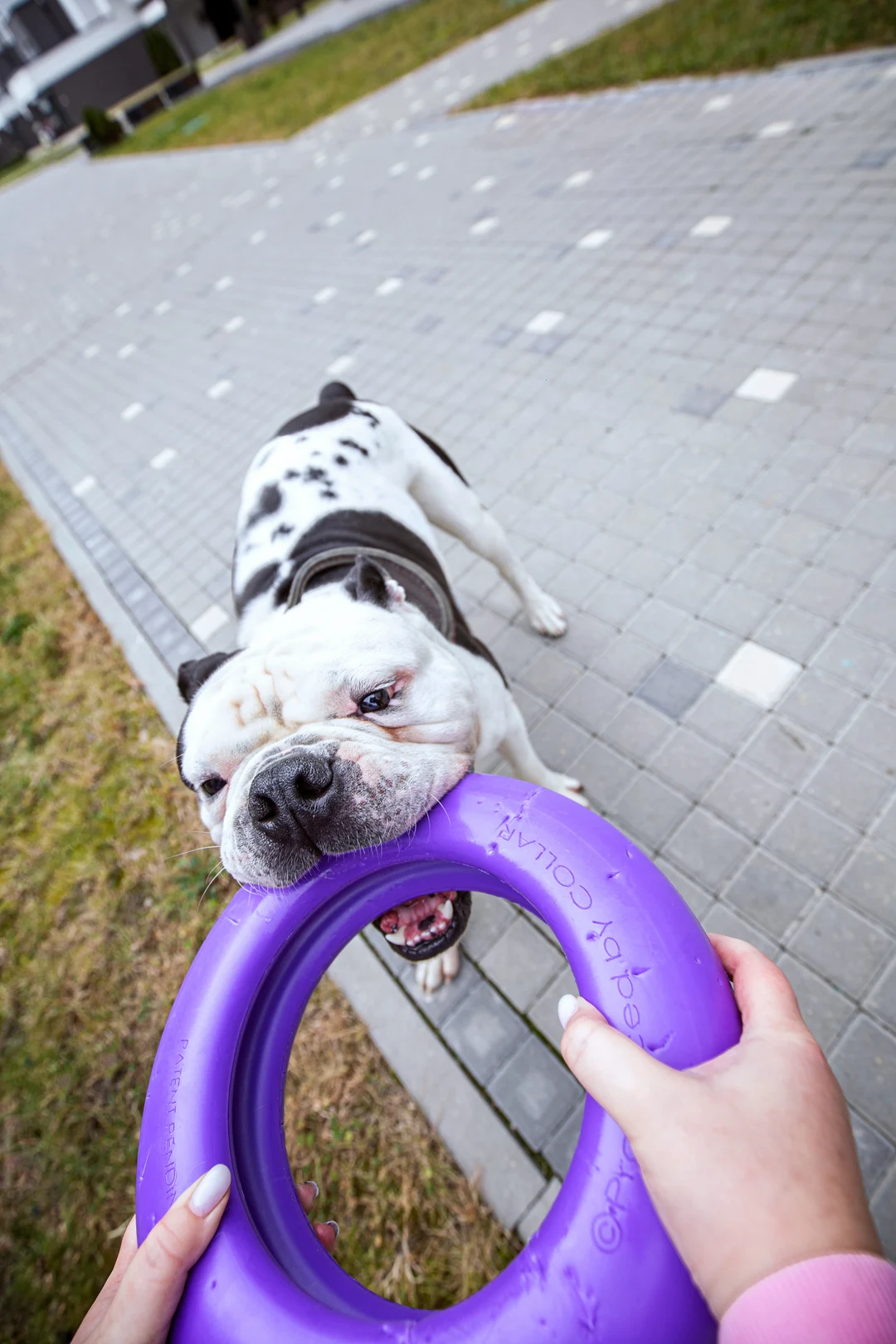 Nice grab😁 | Scrolller