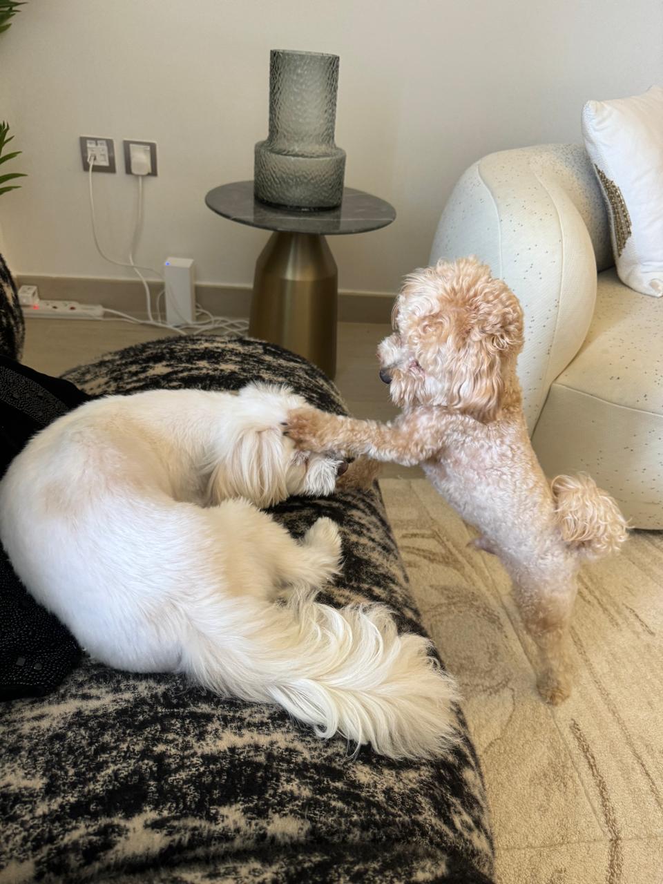 Tony blessing his sister | Scrolller