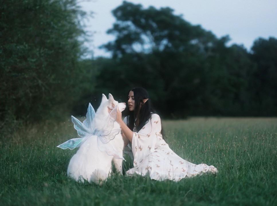 My sweet Willow’s first photoshoot 🤍 🤣 | Scrolller