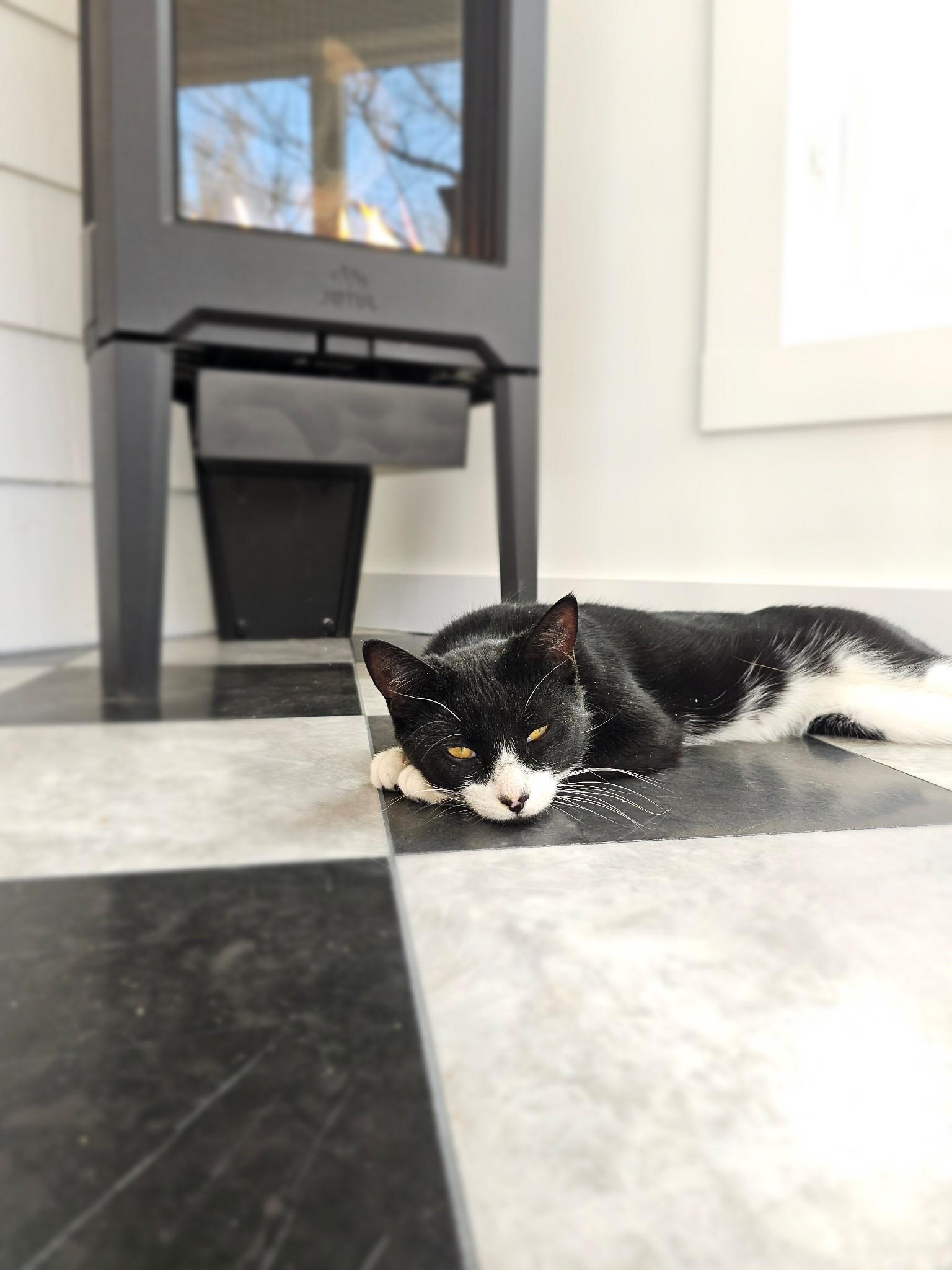 Camouflage Tuxedo | Scrolller